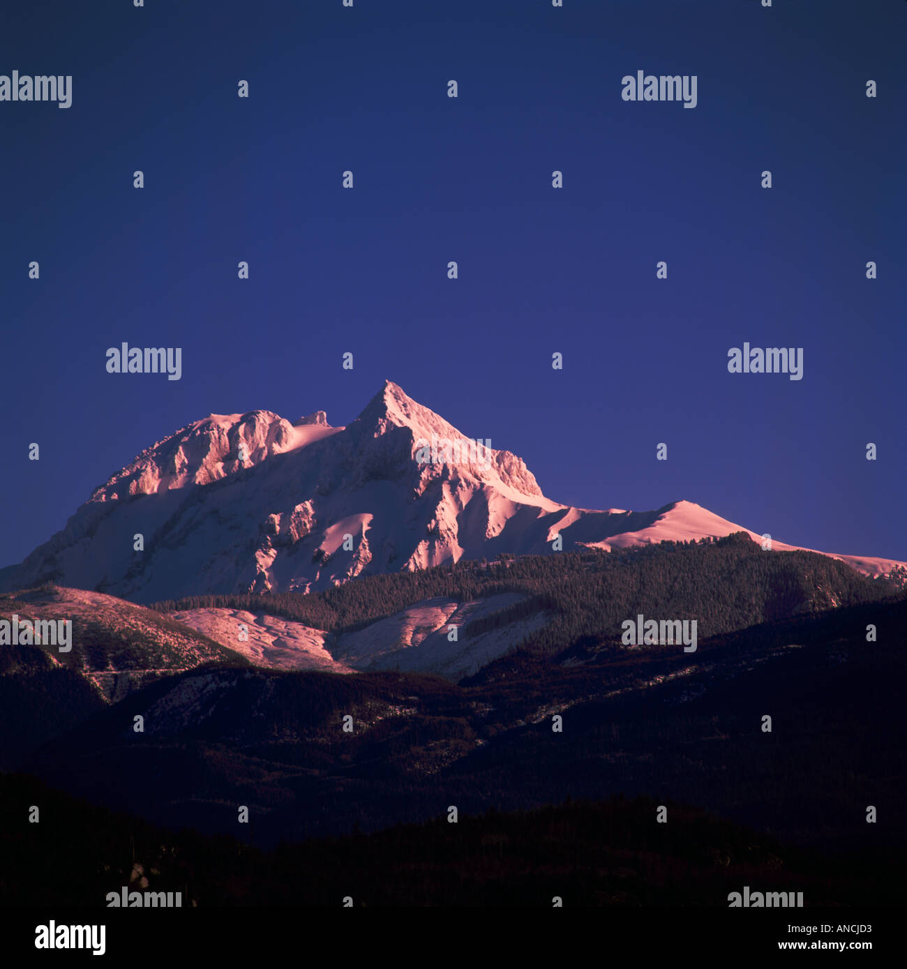 Mt Garibaldi in Garibaldi Provincial Park near Squamish British ...