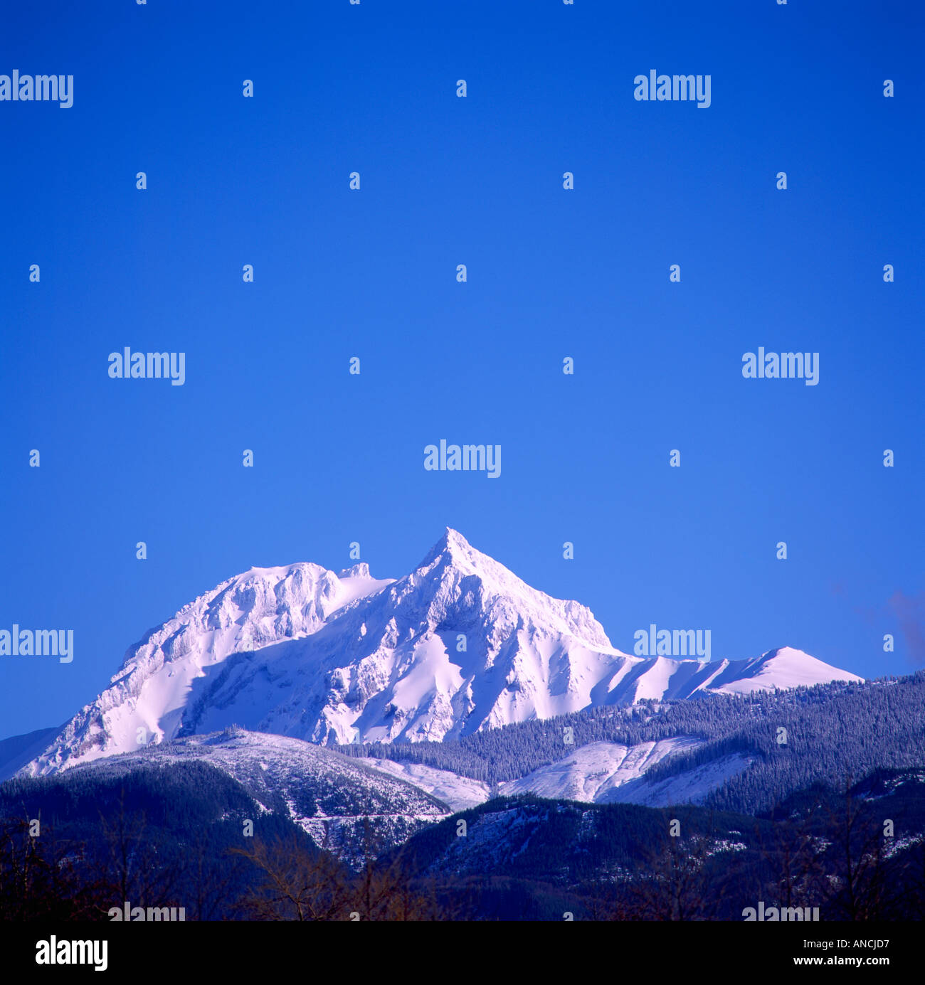 Mount Garibaldi in Garibaldi Provincial Park near Squamish British ...