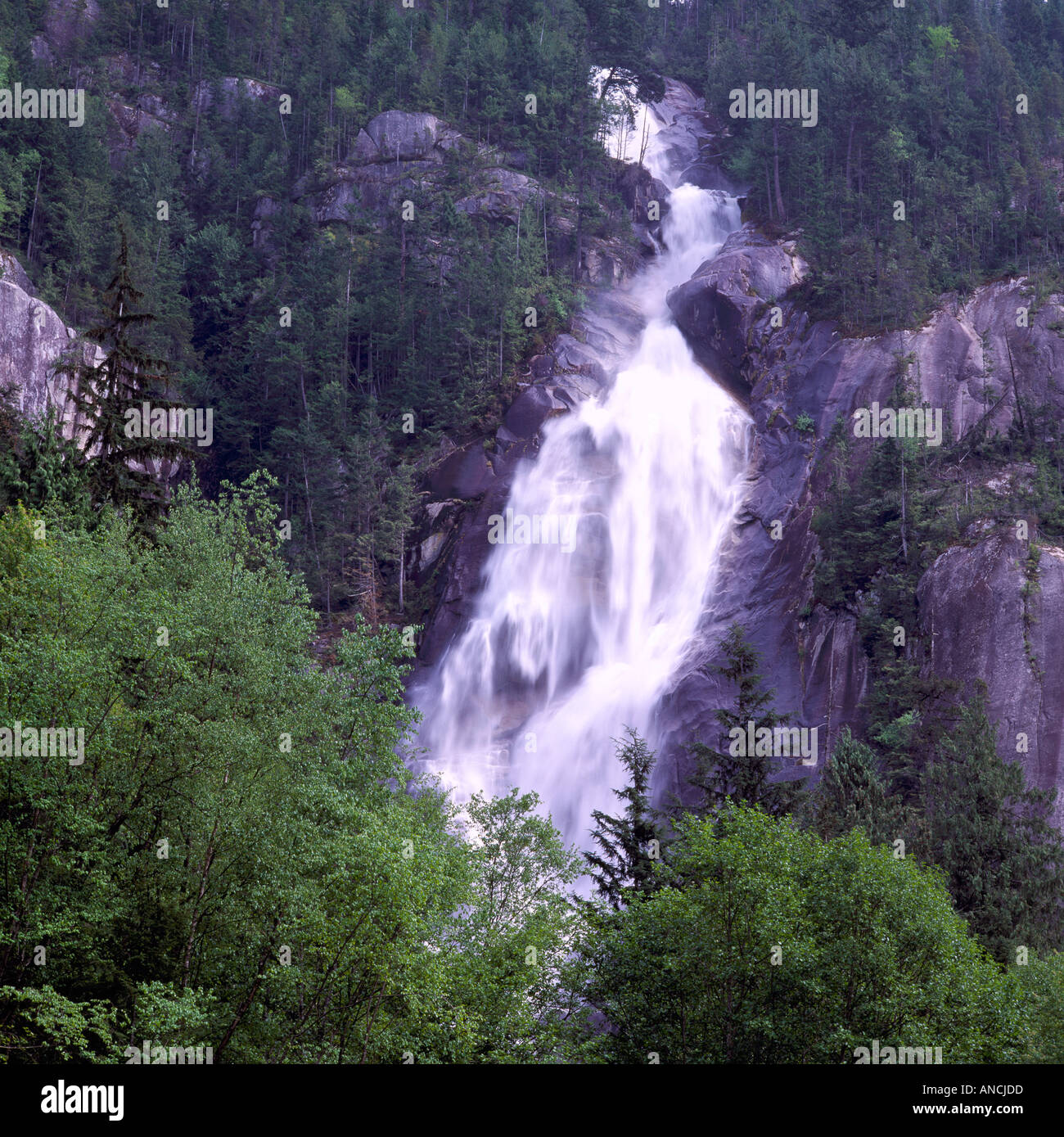 Shannon Falls in Shannon Falls Provincial Park near Squamish British ...