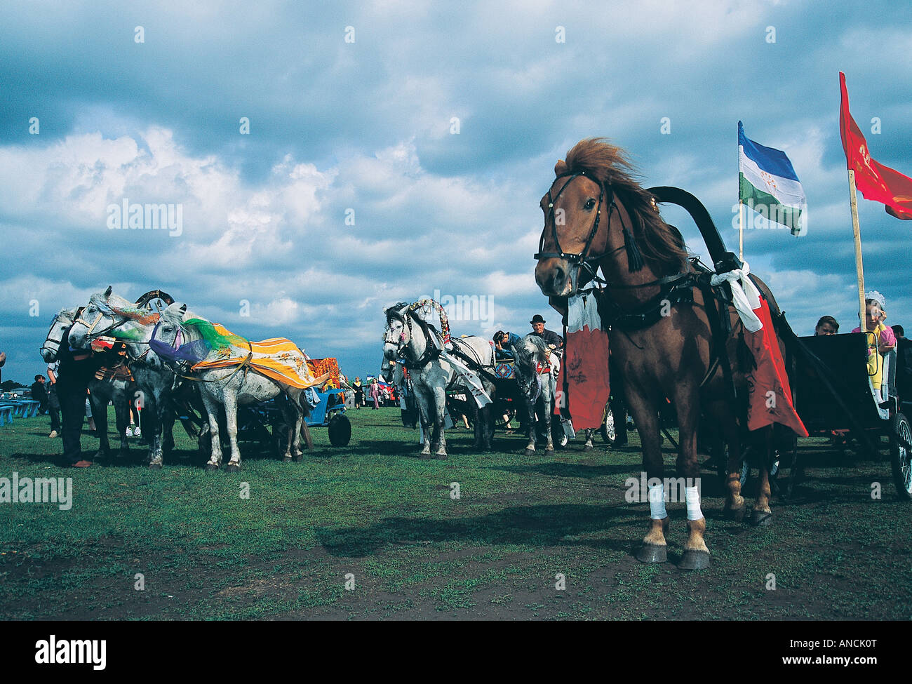 Sabantuy Tatar Spring Festival in Republic Bashkortostan , Bashkiria a ...