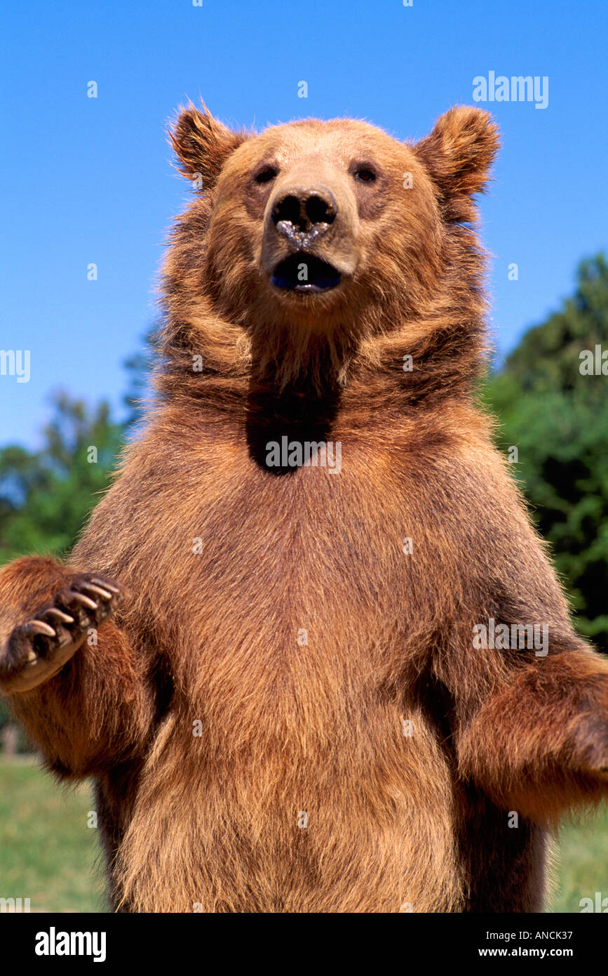 Huffy hi-res stock photography and images - Alamy