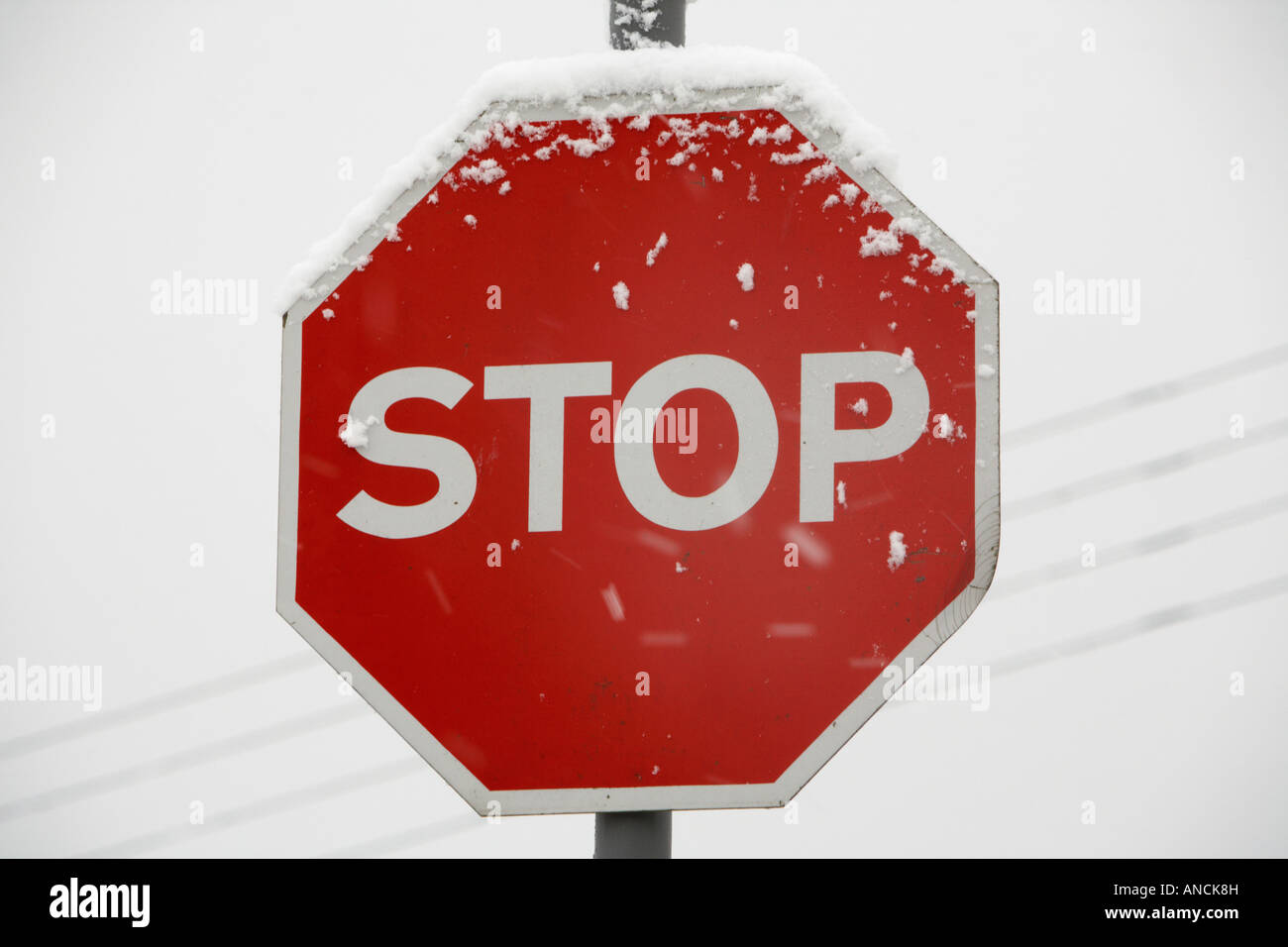 red stop sign coated with snow with heavy snow filled skies during ...