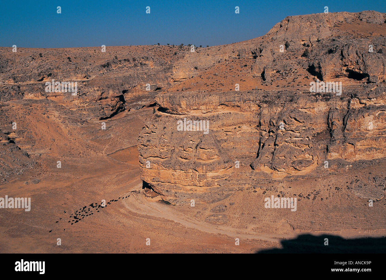 Zengen hi-res stock photography and images - Alamy