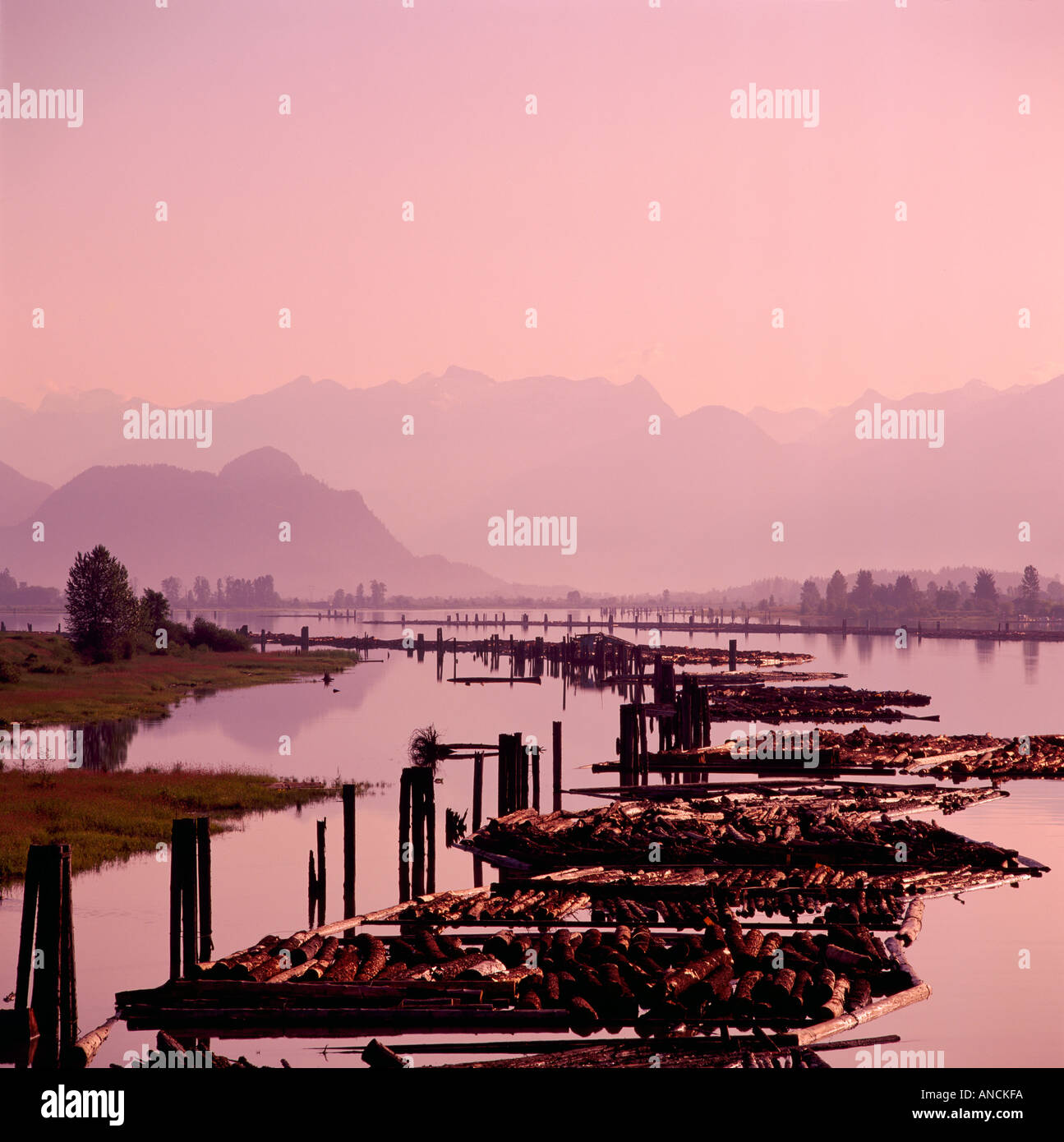 Logs floating in river hi-res stock photography and images - Alamy