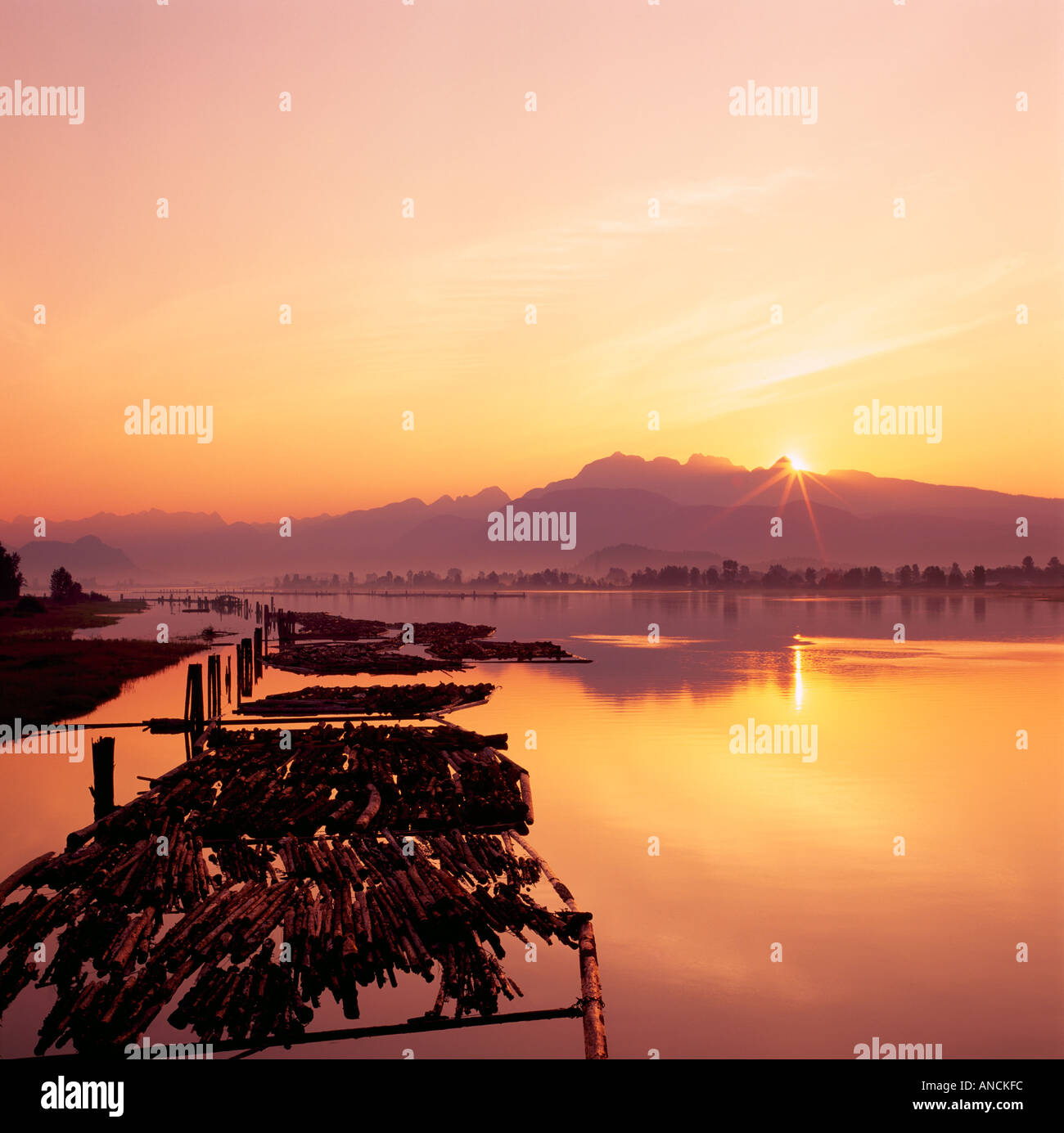 Log booms on the fraser river hi-res stock photography and images - Alamy