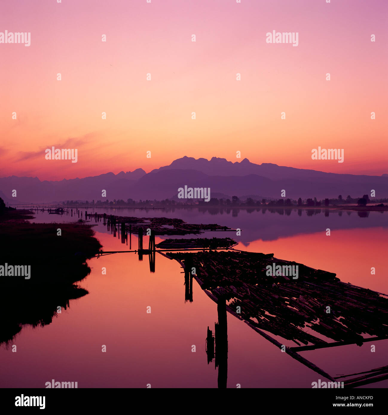 Log booms on the fraser river hi-res stock photography and images - Alamy