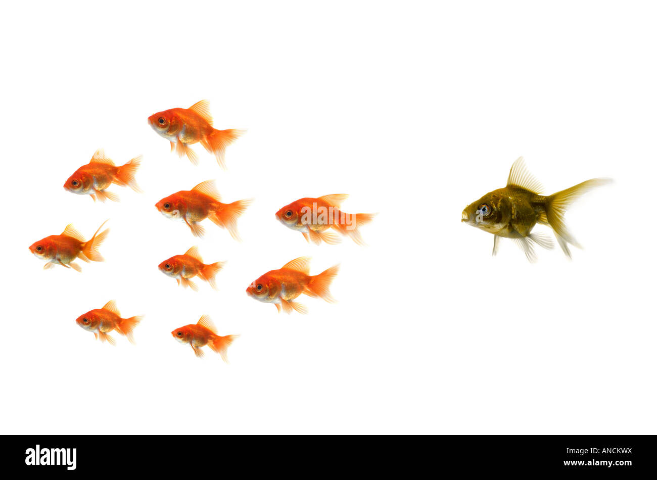 Despair friendship Cut Out Stock Images & Pictures - Alamy