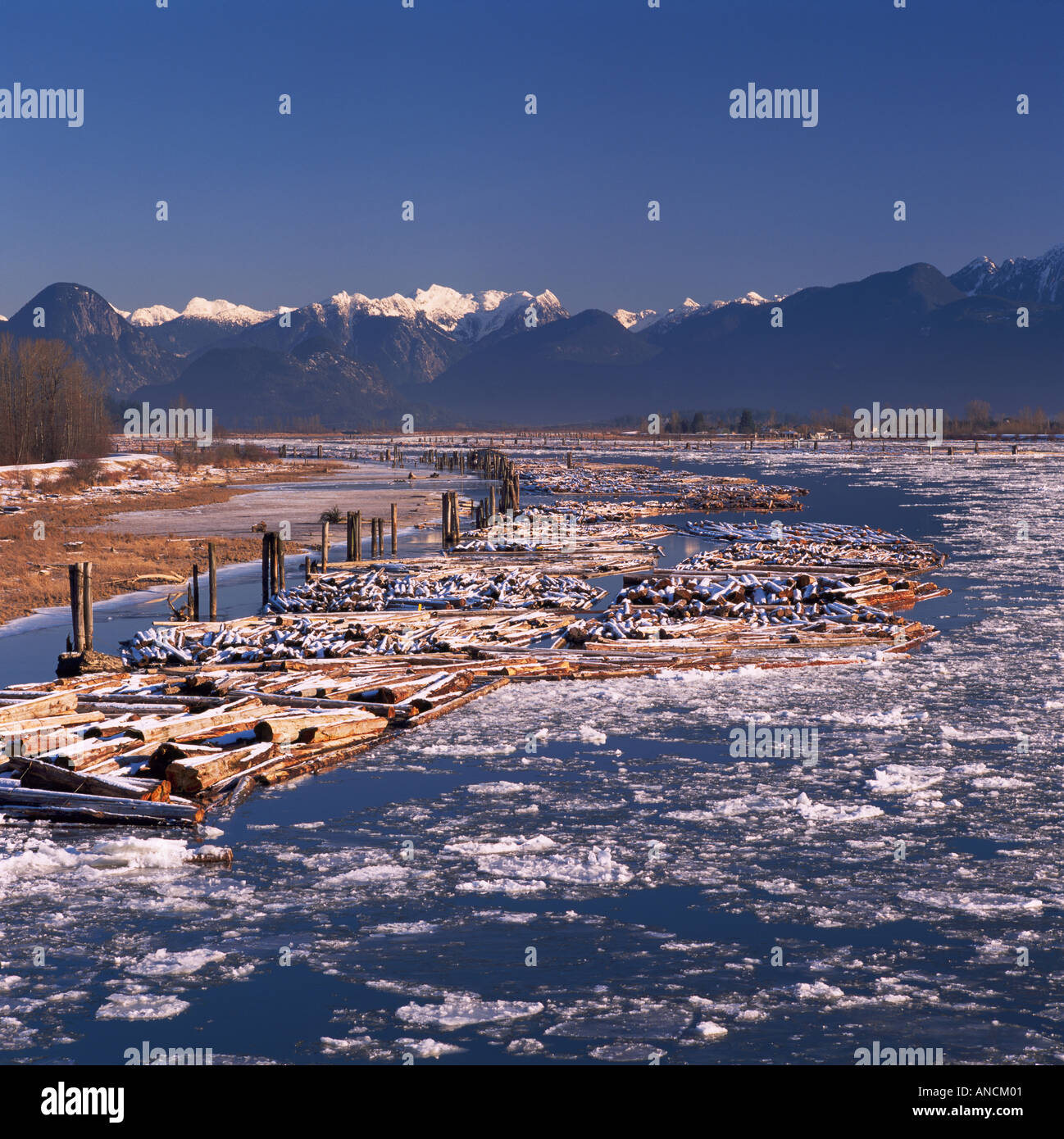 Log Booms On The Fraser River High Resolution Stock Photography and ...
