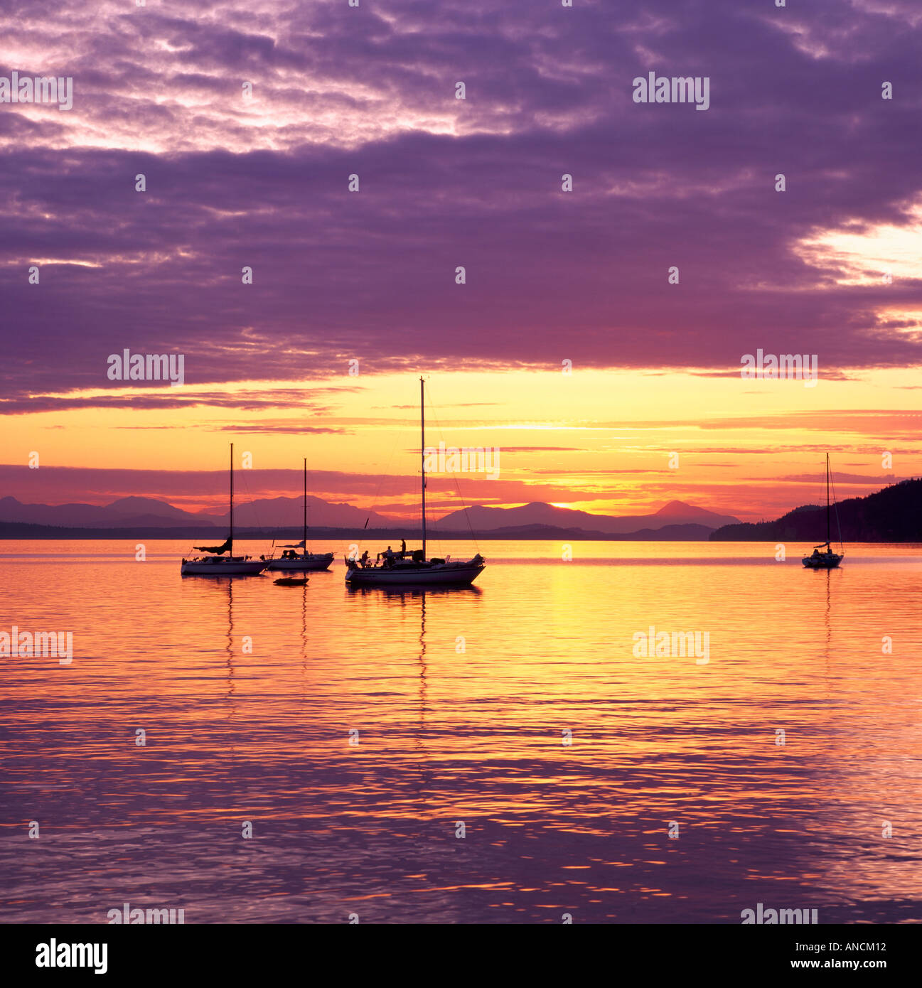 Sailboats anchored at Sunset at Montague Harbour Provincial Marine Park ...