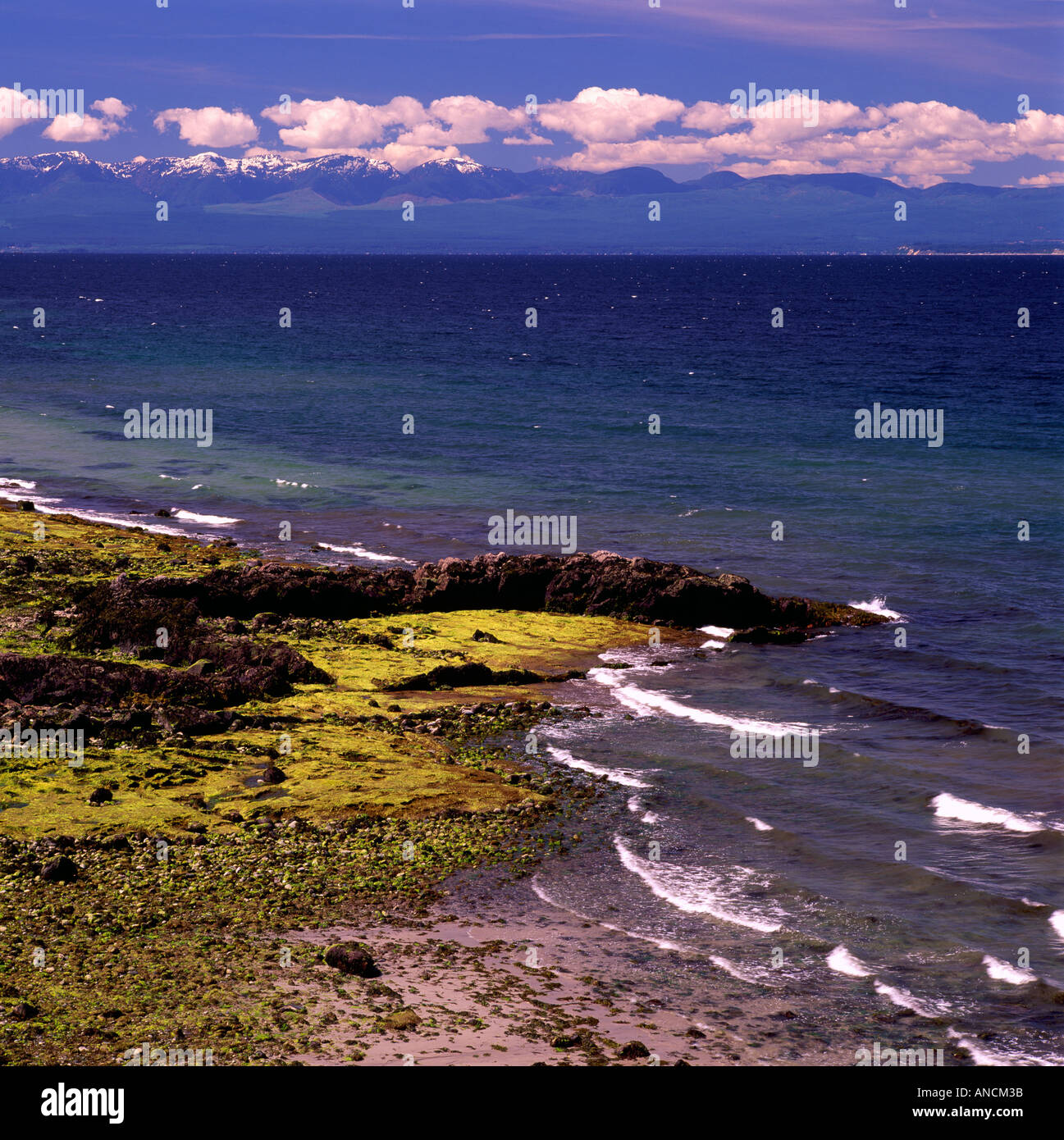 Texada hi-res stock photography and images - Alamy