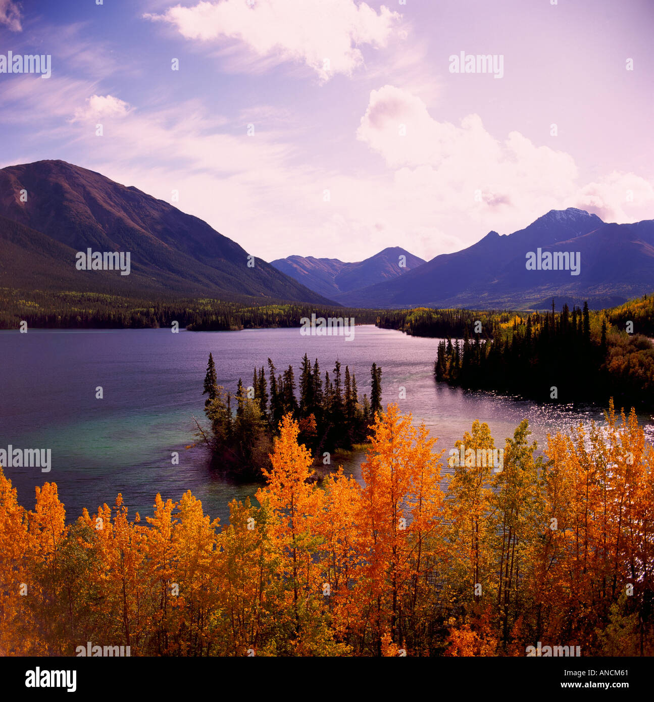 Cassiar mountains hi-res stock photography and images - Alamy