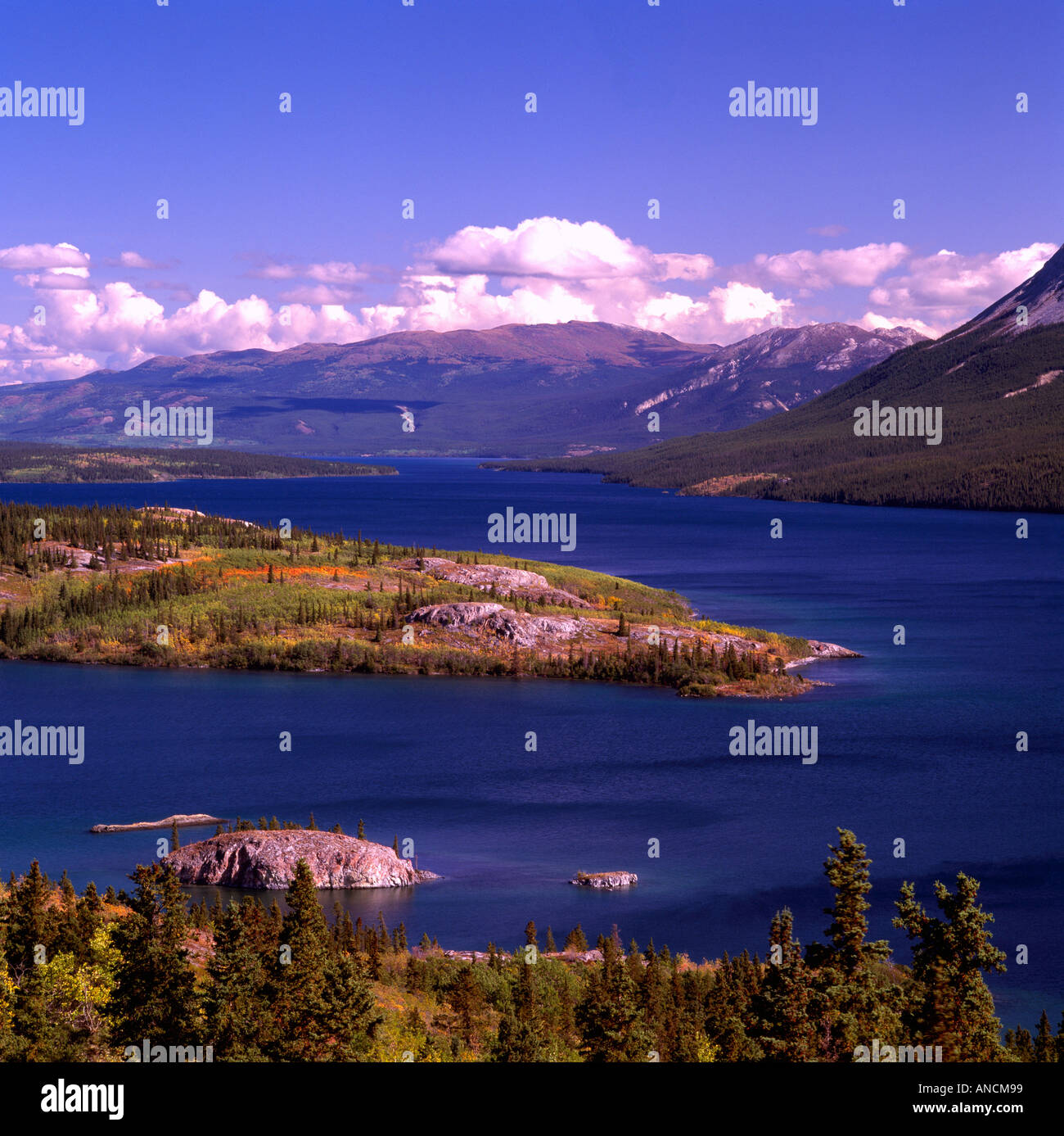 Tutshi Lake along Highway 2 British Columbia Canada Stock Photo - Alamy