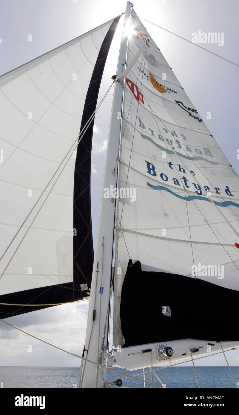Catamaran sailing in barbados hi-res stock photography and images - Alamy