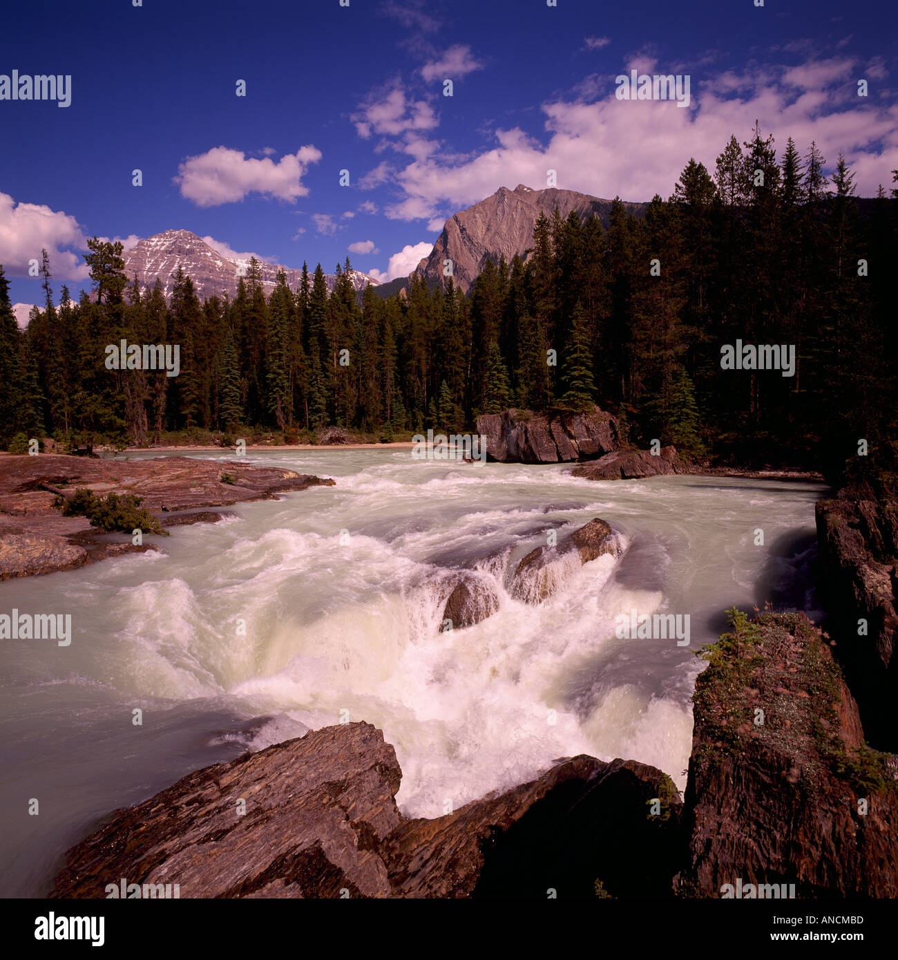 Mt stephen and the kicking horse river hi-res stock photography and ...