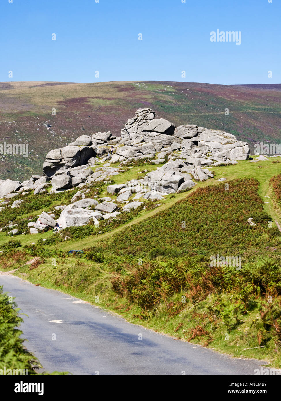 Bonehill rocks on Dartmoor Devon England UK Stock Photo - Alamy