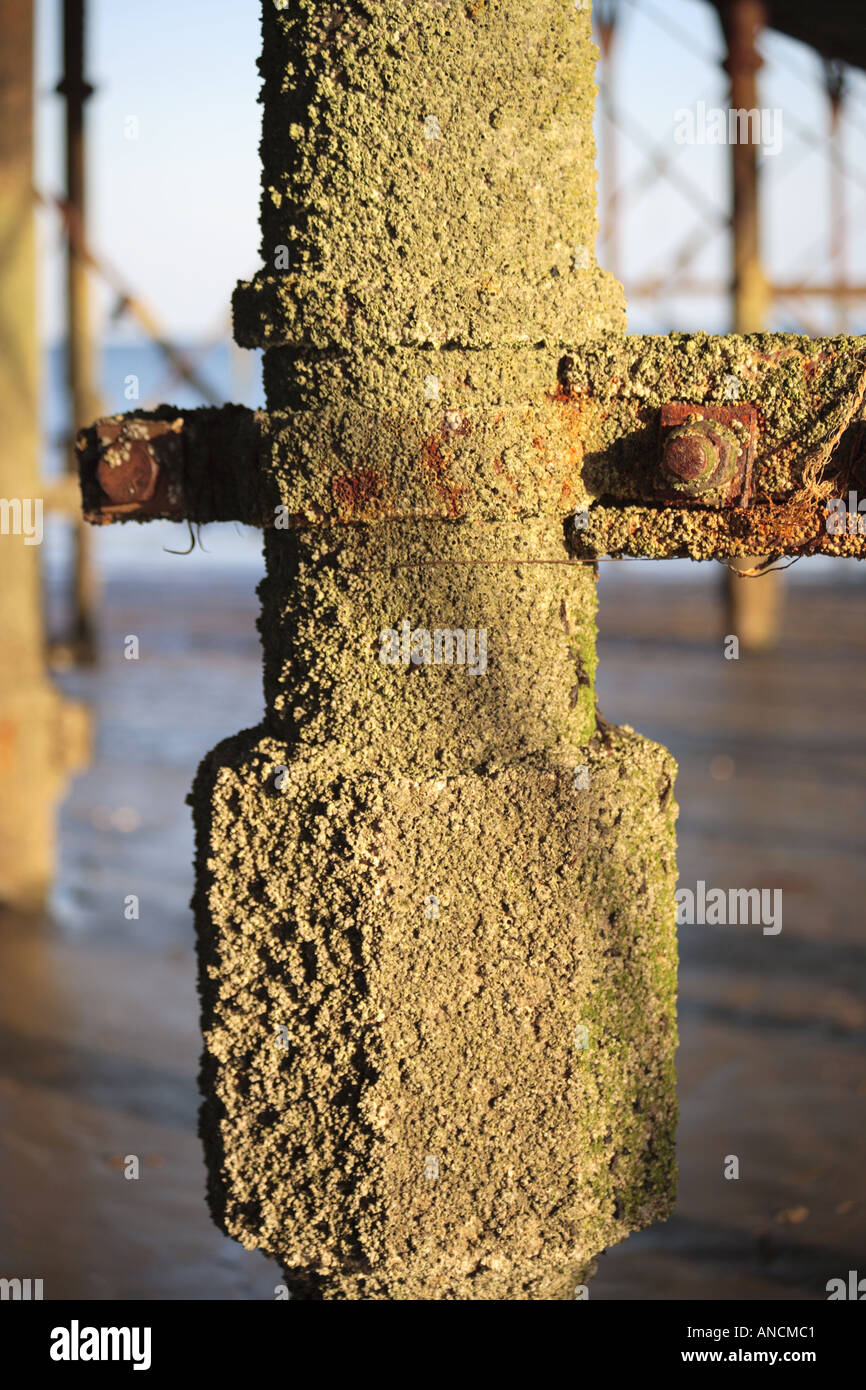 Cast iron framework hi-res stock photography and images - Alamy