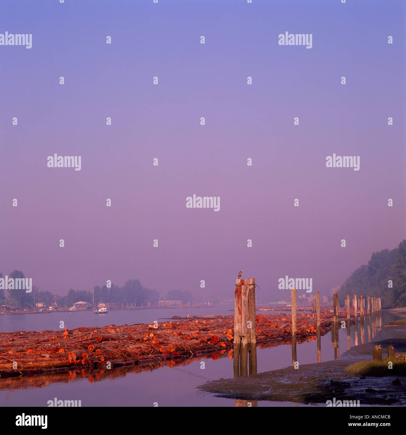 Log booms on the fraser river hi-res stock photography and images - Alamy