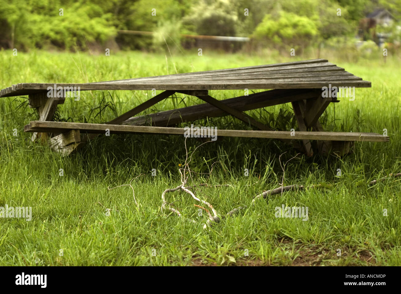 A weathered picnic table rests in a field Stock Photo - Alamy