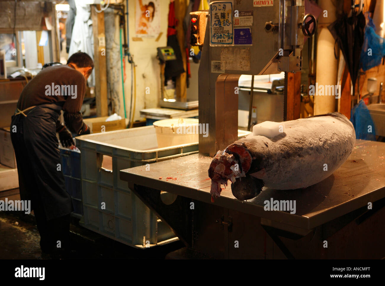 Large Frozen Tuna, Tsukiji Fish Market, Tokyo Stock Photo - Alamy