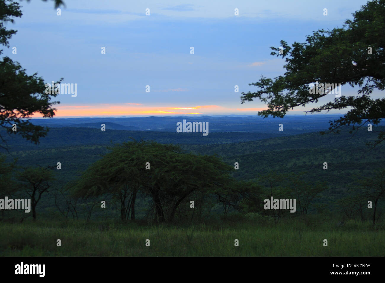 Mpila hi-res stock photography and images - Alamy