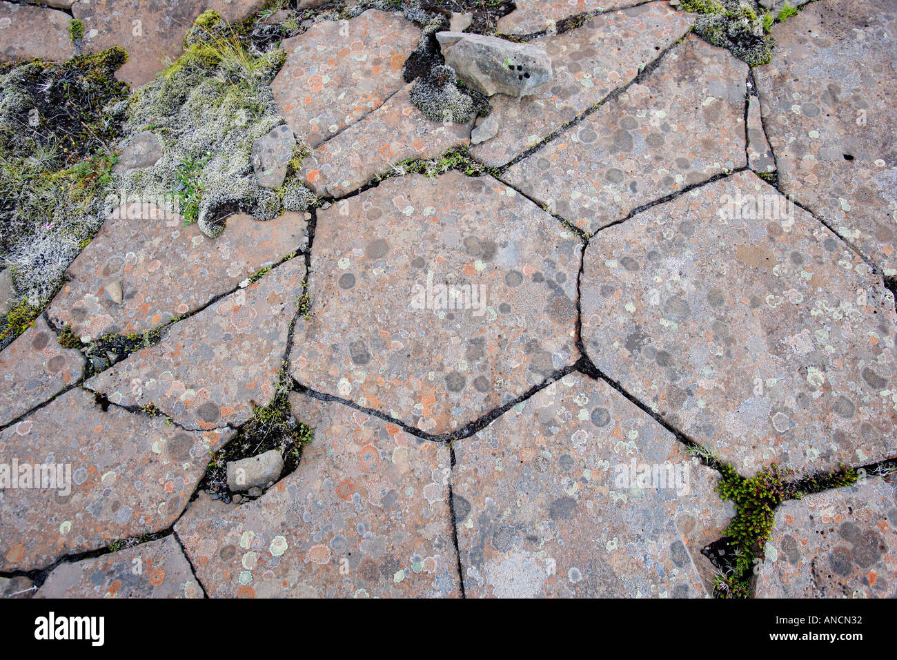 Columnar Basalt Revealing Hexagonal Structure Iceland Stock Photo - Alamy