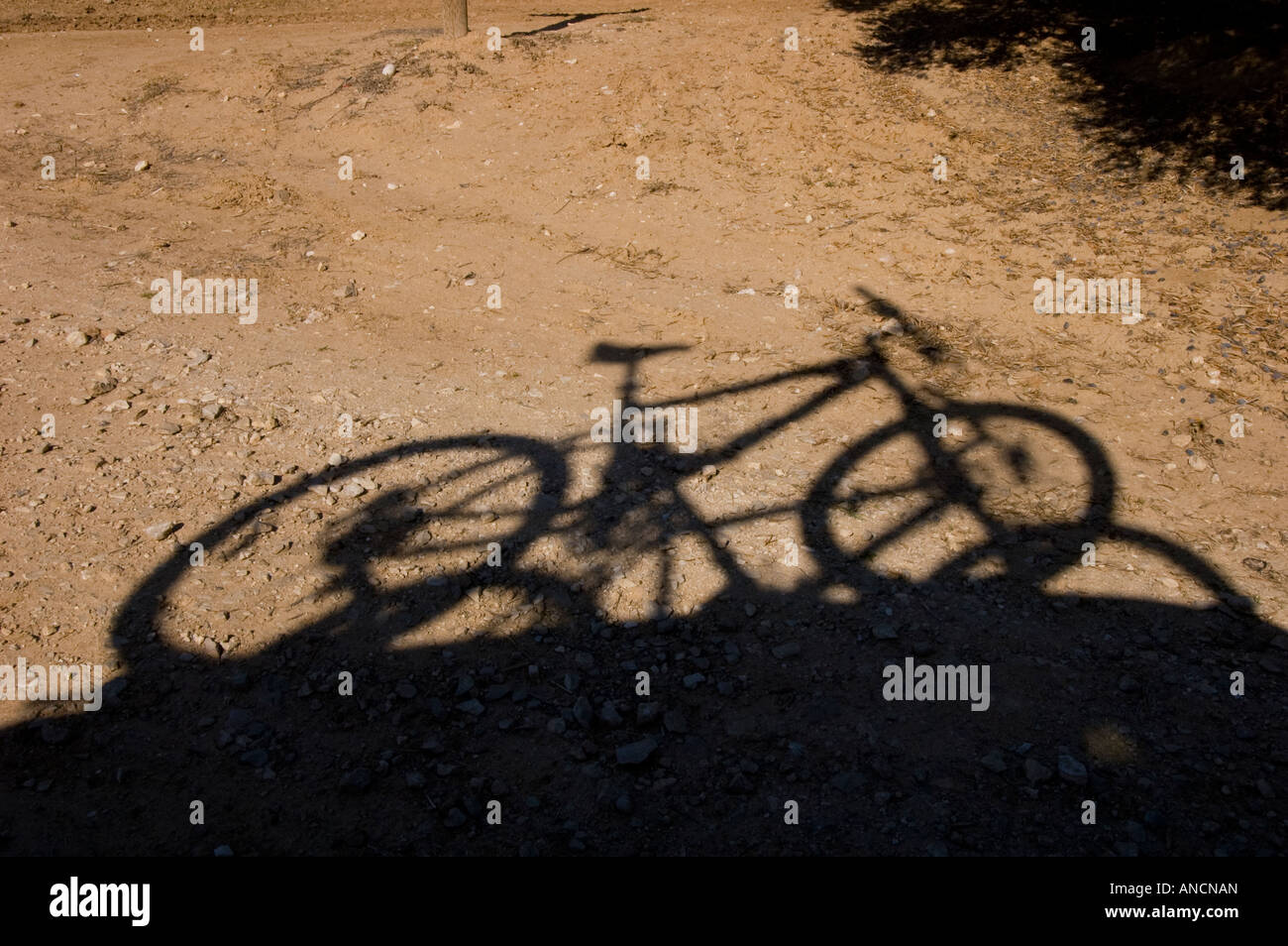 Shadow of mountain bikes mounted on roof of SUV Stock Photo - Alamy