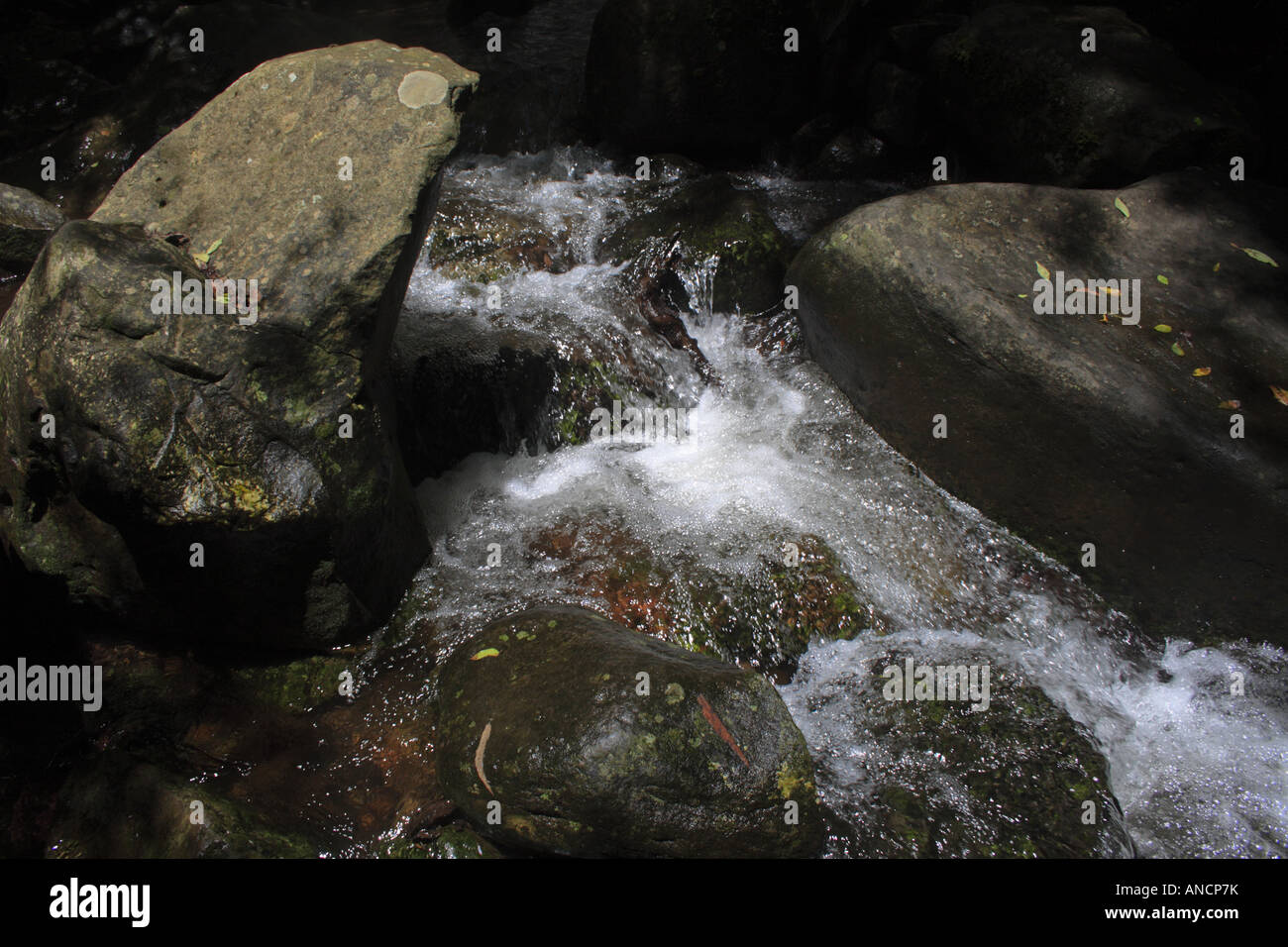 Monks cowl drakensberg hi-res stock photography and images - Alamy