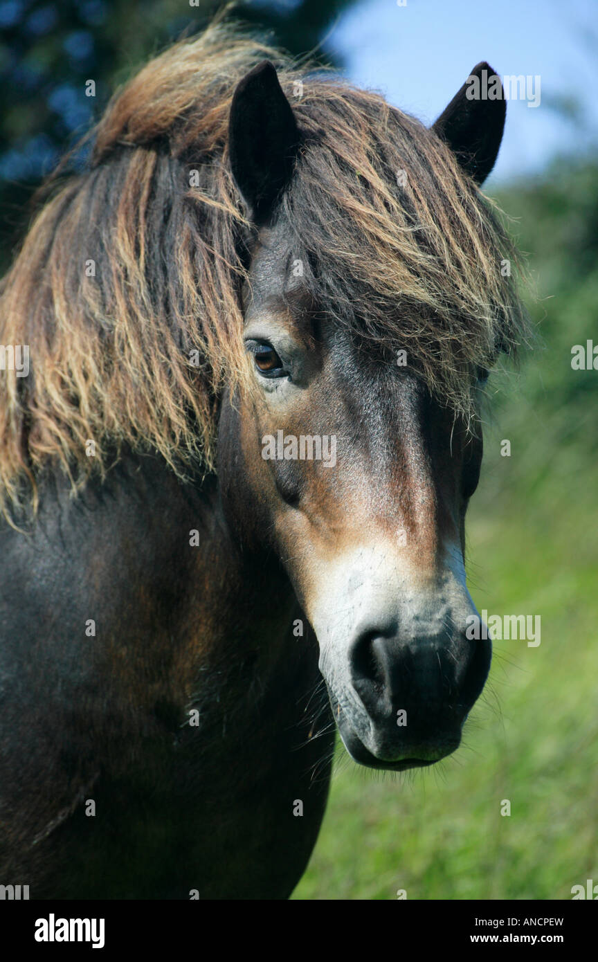 Portrait way up hi-res stock photography and images - Alamy
