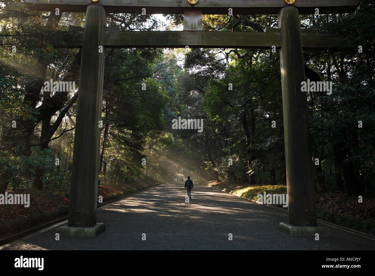Torii Gate, Yoyogi Park, Tokyo, Japan Stock Photo - Alamy