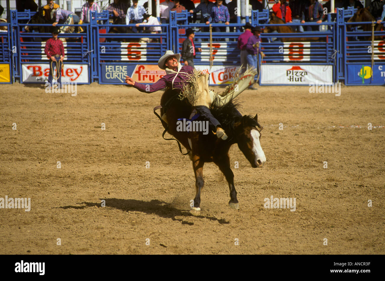 Tucson rodeo hi-res stock photography and images - Alamy