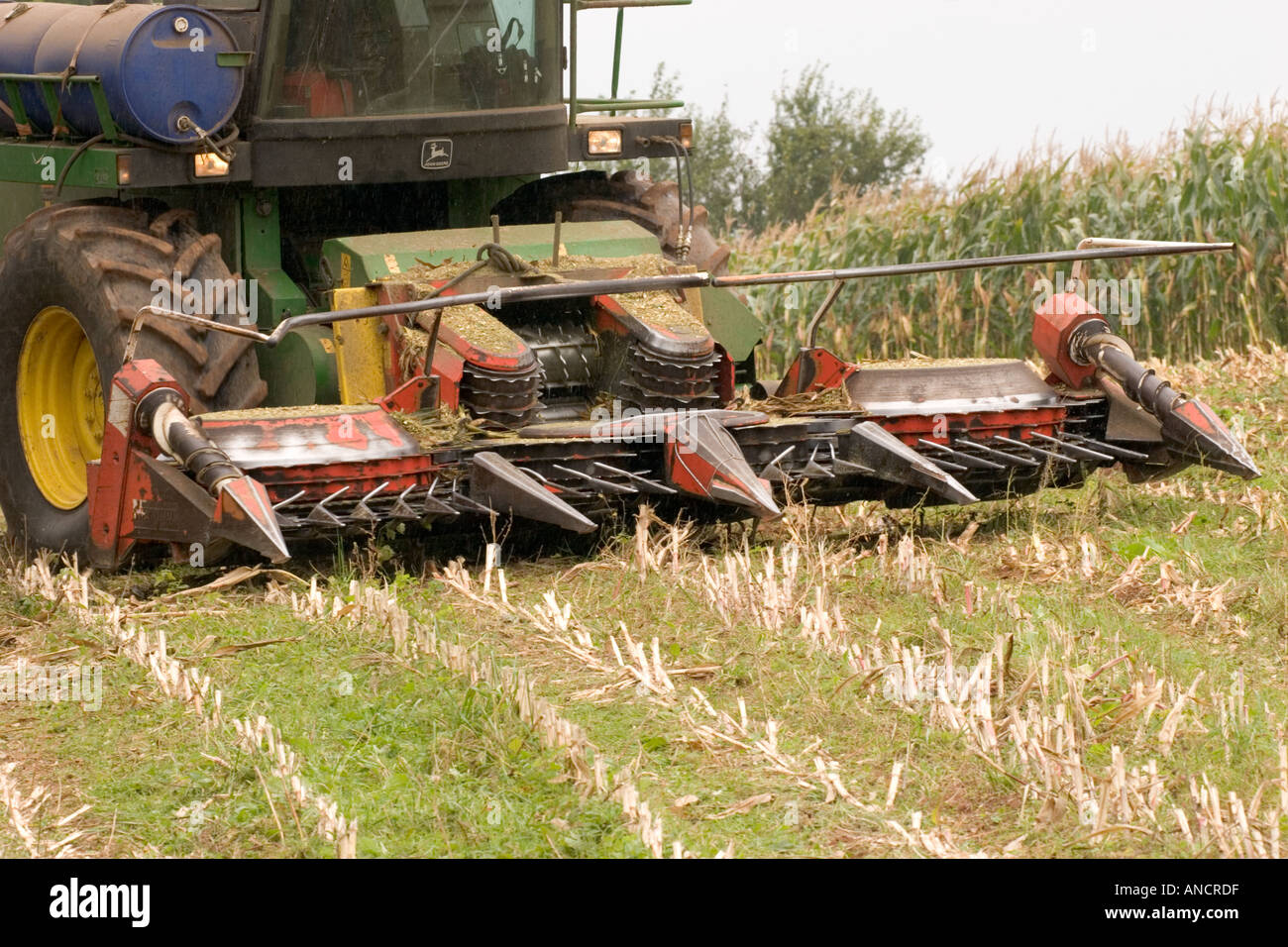 Maize header close up Stock Photo - Alamy
