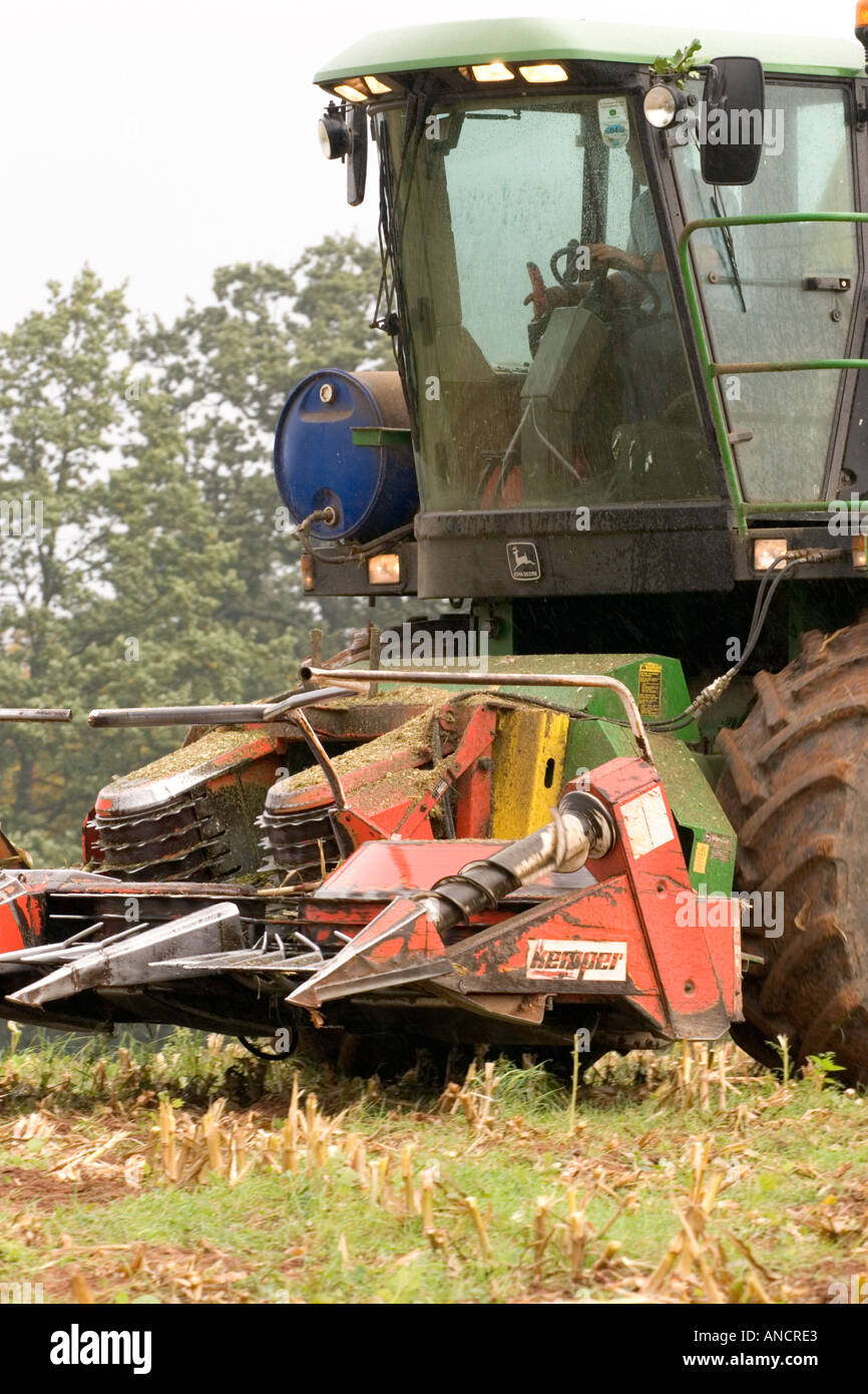 Forage harvester fitted with maize header Stock Photo - Alamy