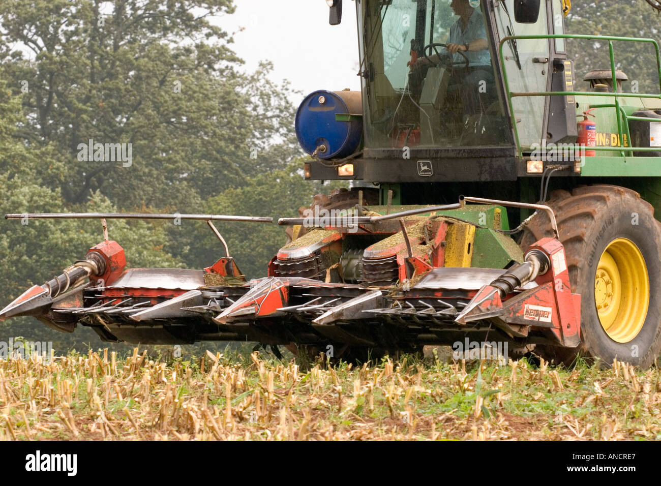 Forage harvester fitted with maize header Stock Photo - Alamy