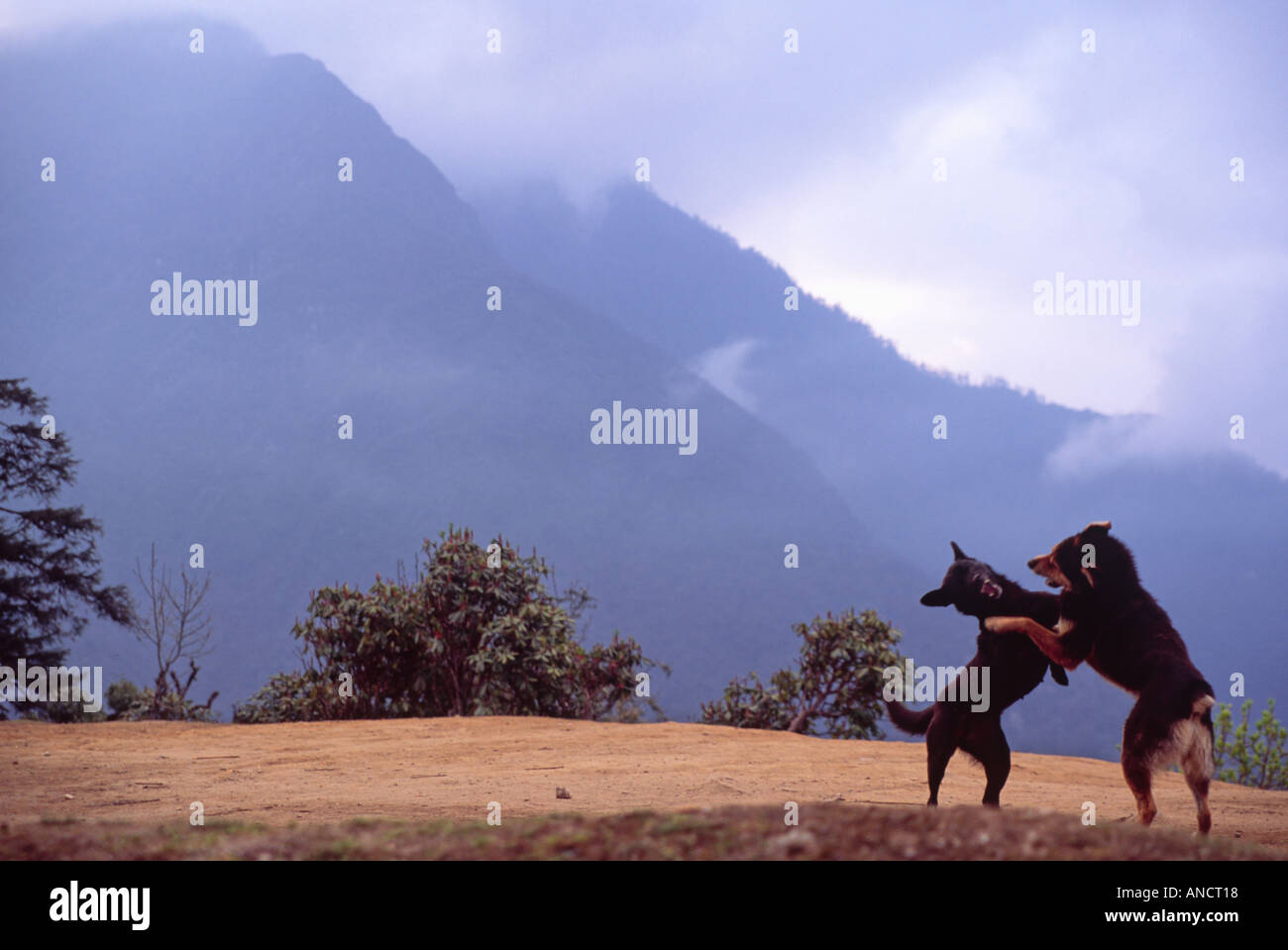 Indian village sunrise hi-res stock photography and images - Alamy
