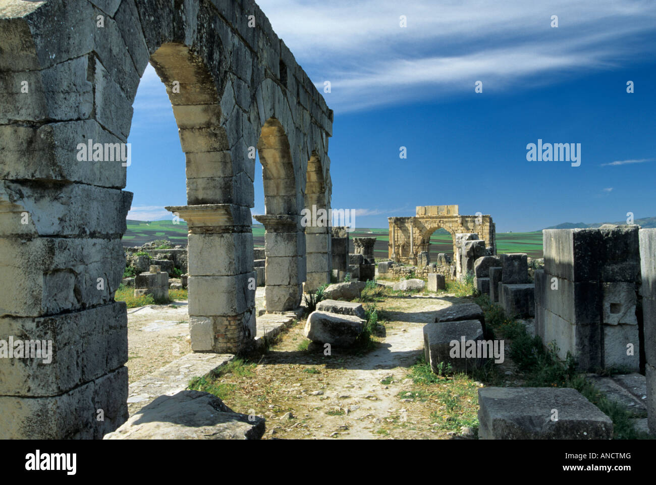 Decumanus maximus hi-res stock photography and images - Alamy