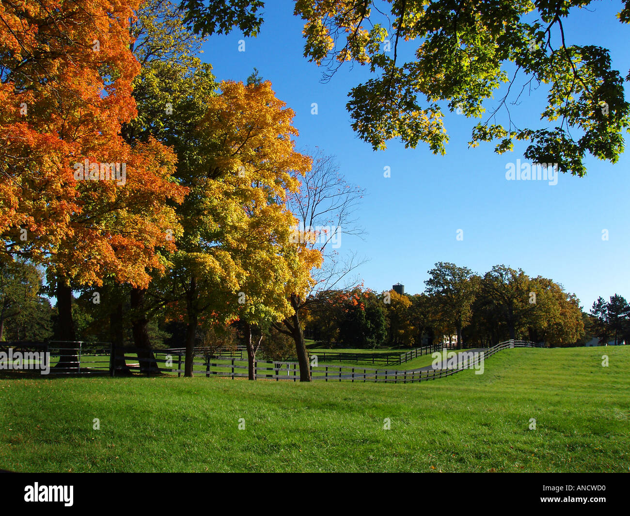 Autumn Farm Scenic Stock Photo - Alamy