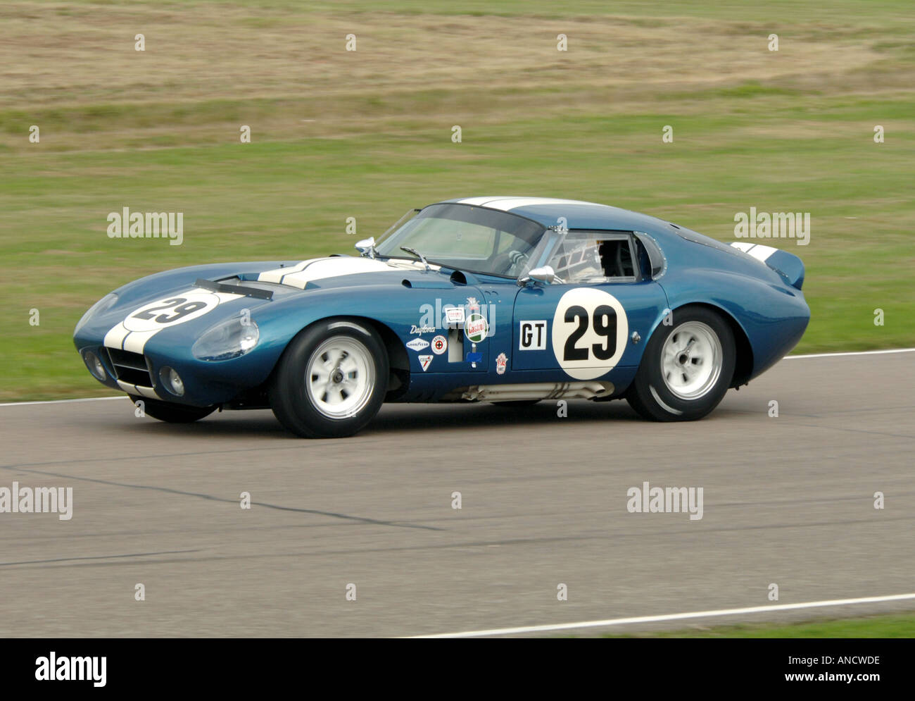 Shelby Cobra - Classic GT car racing at the 2005 Goodwood Revival Stock ...