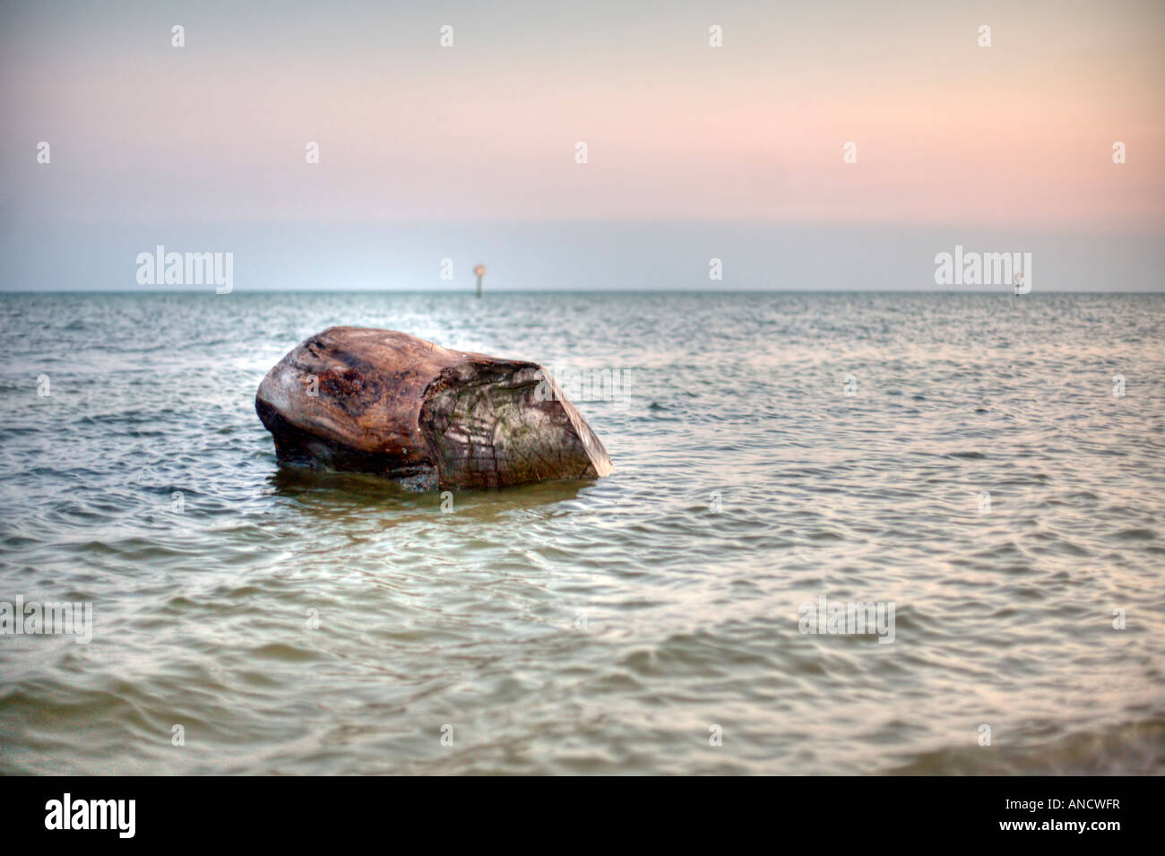Floating wood in the ocean close to Key West Florida Stock Photo - Alamy