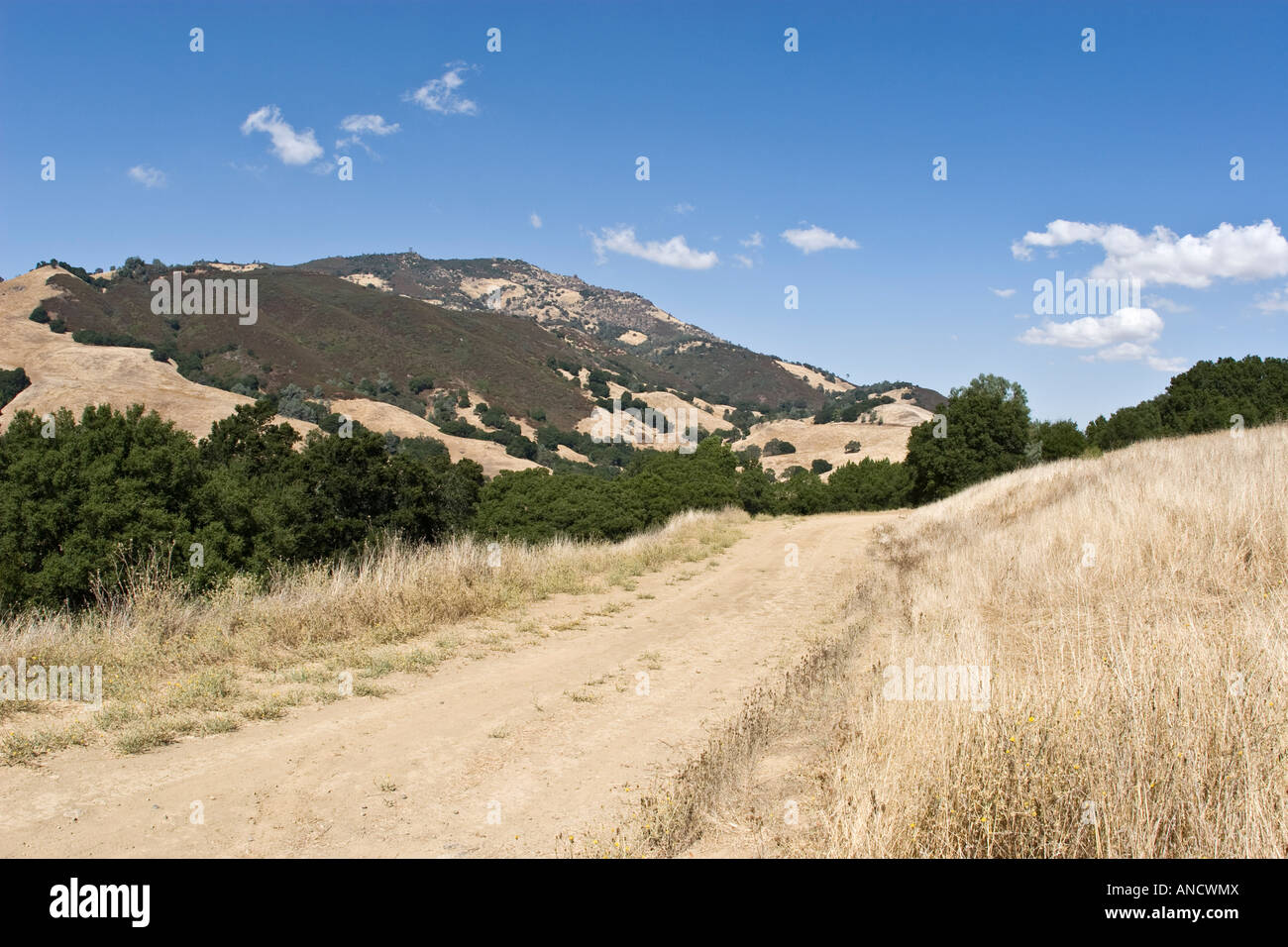 Trail through grassy hill Stock Photo - Alamy