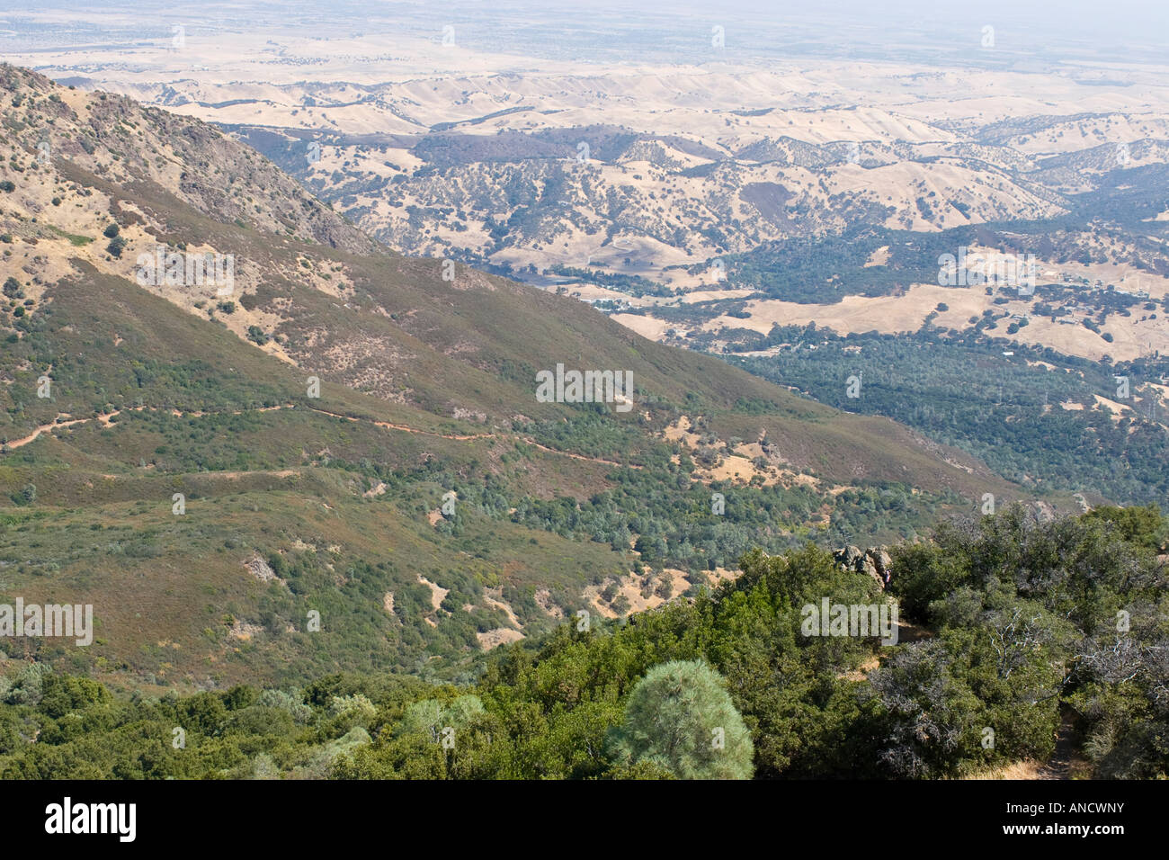 Hiking trail surrounding Mount Diablo State Park Stock Photo - Alamy