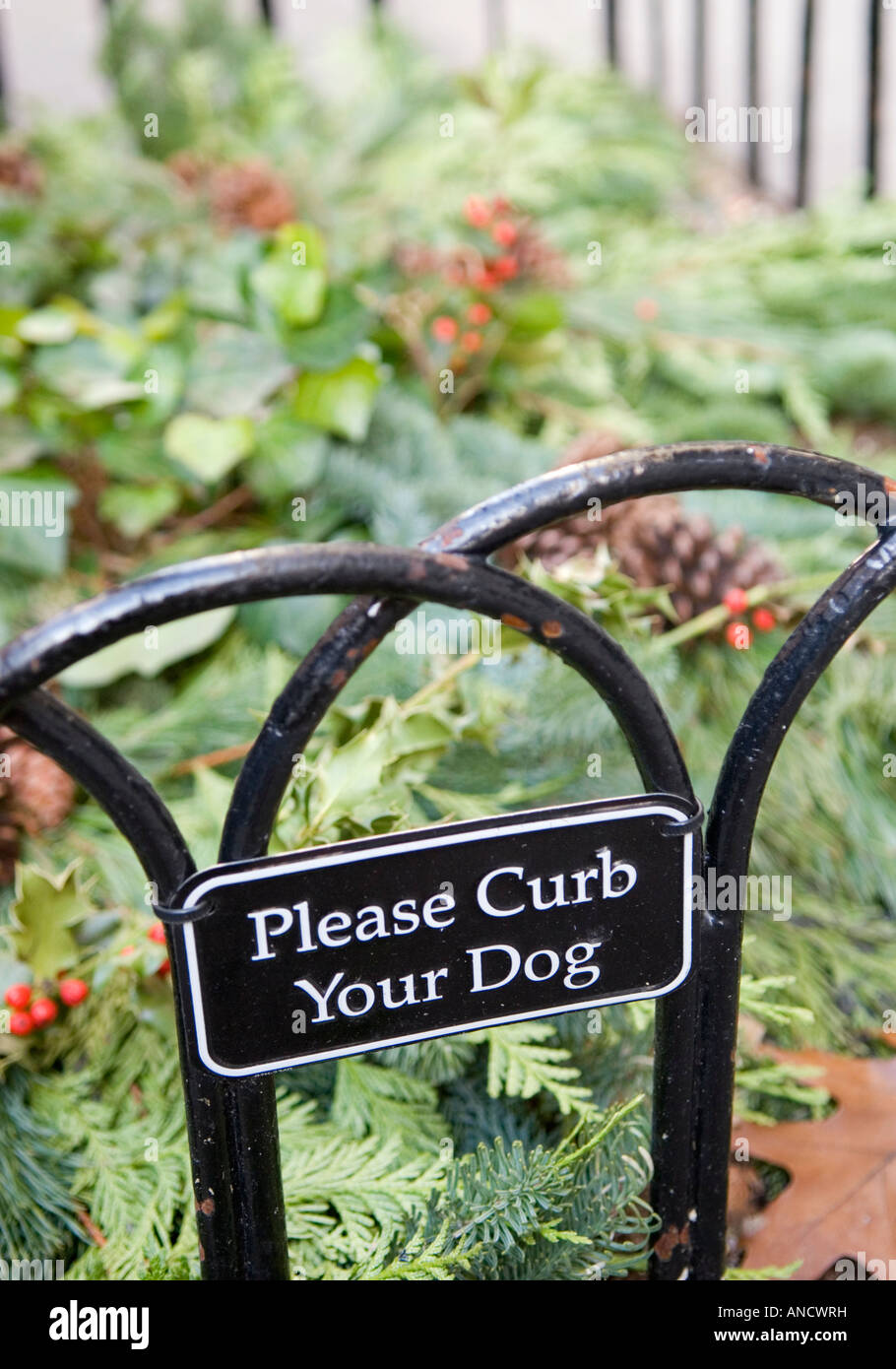 Please curb your dog sign hi-res stock photography and images - Alamy