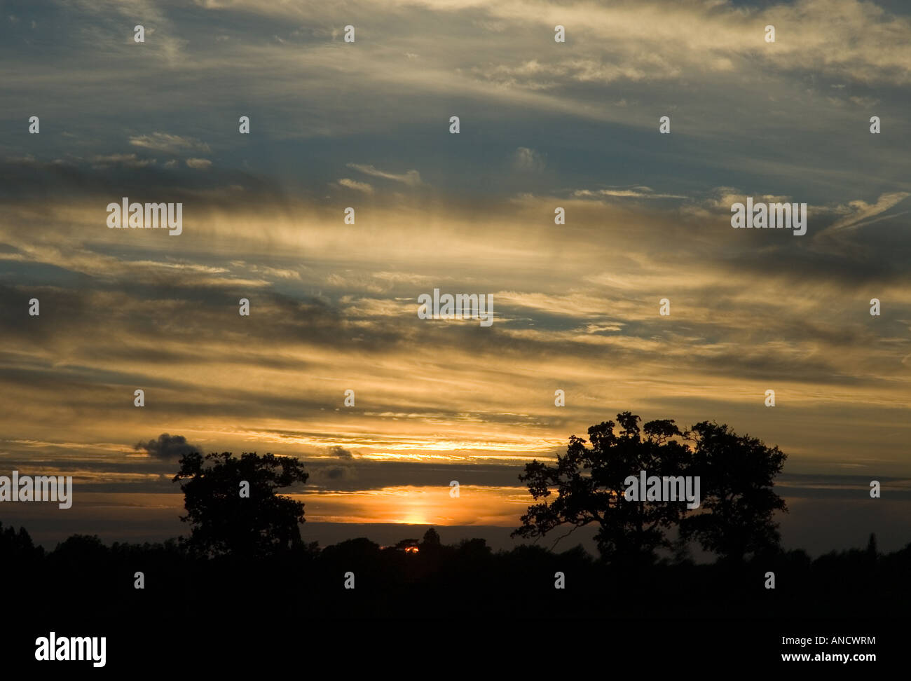 Cloudy sky at sunset, Norfolk, England Stock Photo - Alamy