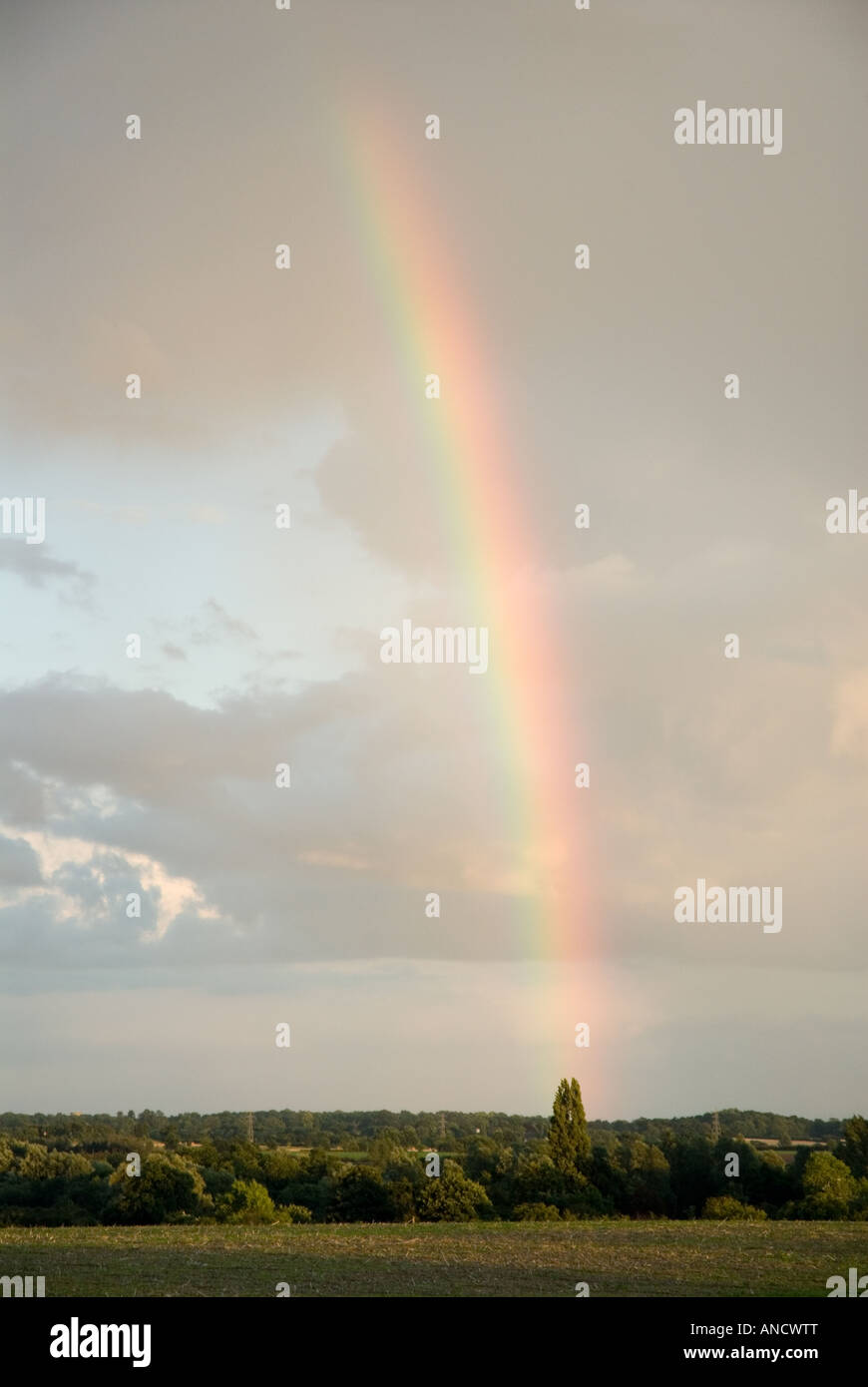 Rainbow over tree, Norfolk, England Stock Photo - Alamy