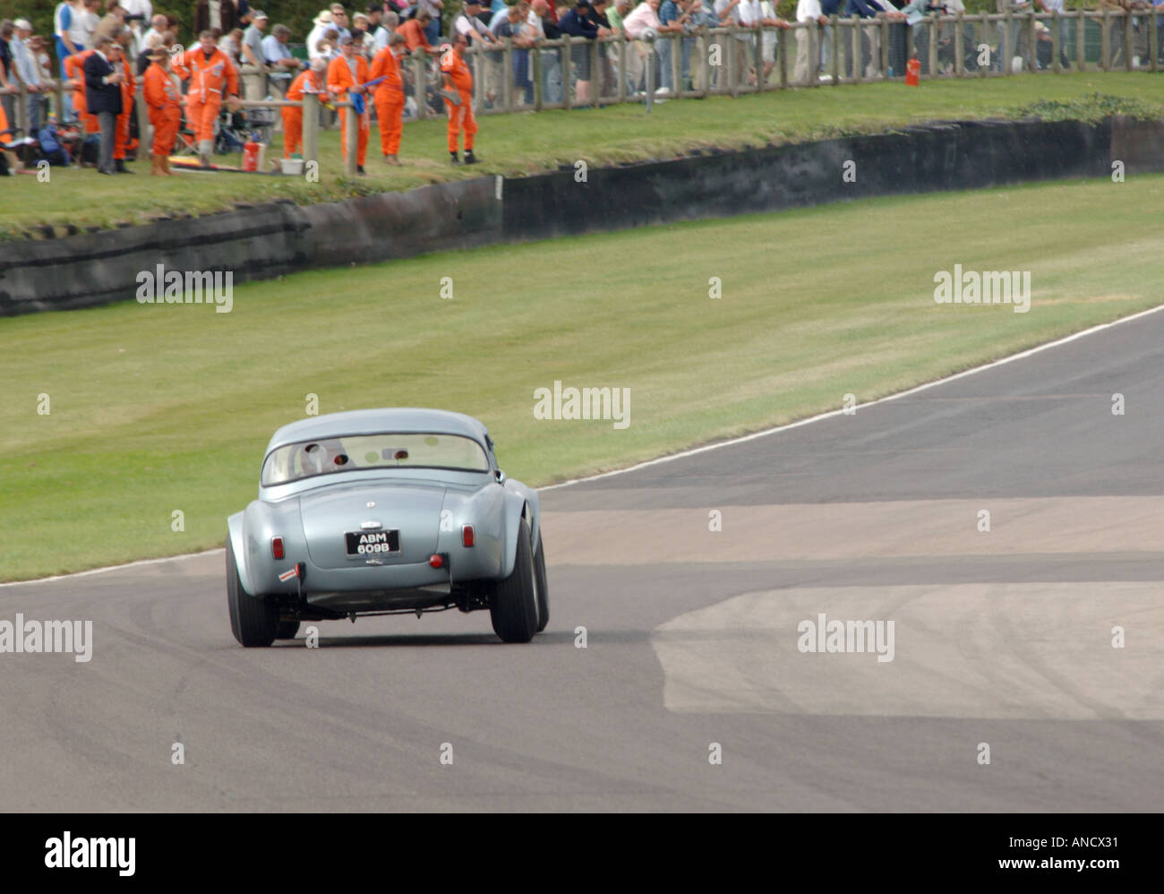 cobra GT car race action from the 2005 Goodwood Revival Stock Photo - Alamy