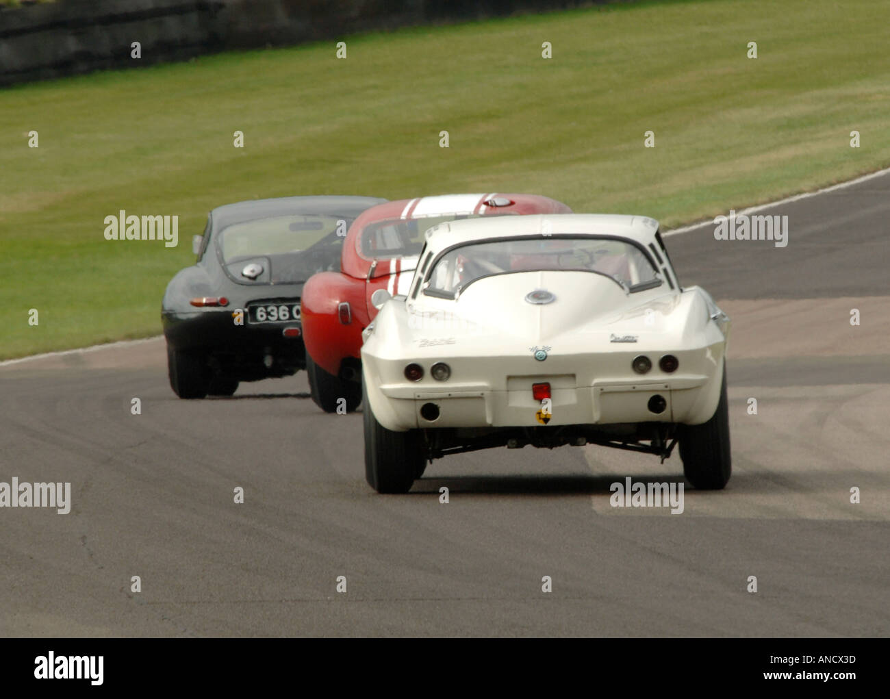 corvette cobra e type GT car race action from the 2005 Goodwood Revival ...
