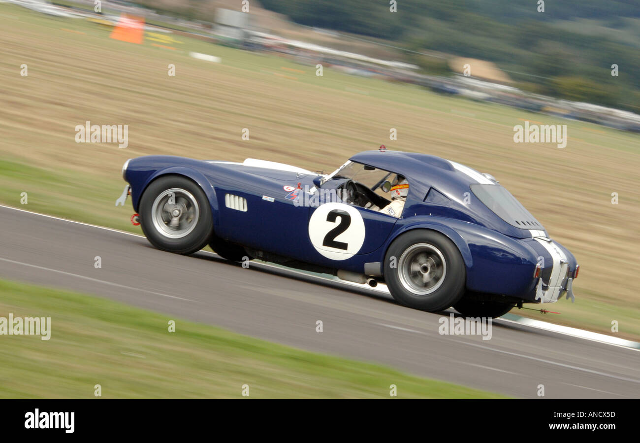 cobra GT car race action from the 2005 Goodwood Revival Stock Photo - Alamy