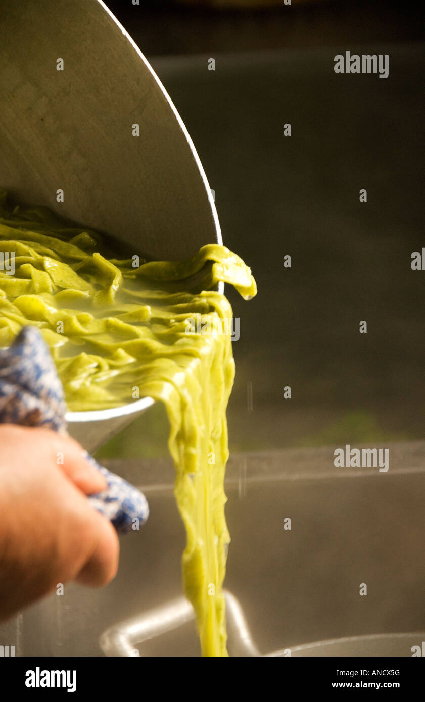 Female draining fresh traditional hot steaming pasta in kitchen in ...