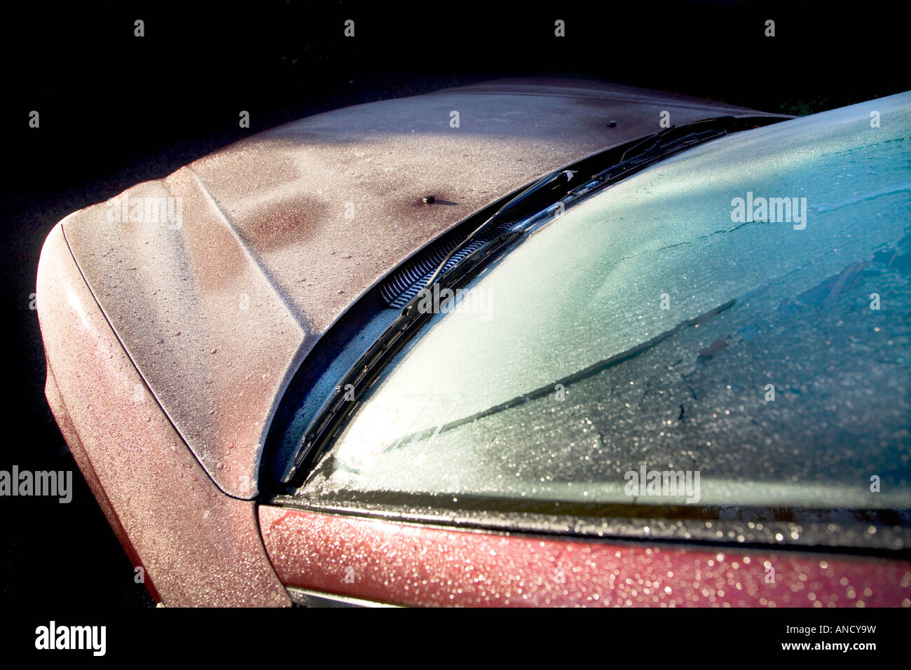 Frozen windscreen hi-res stock photography and images - Alamy