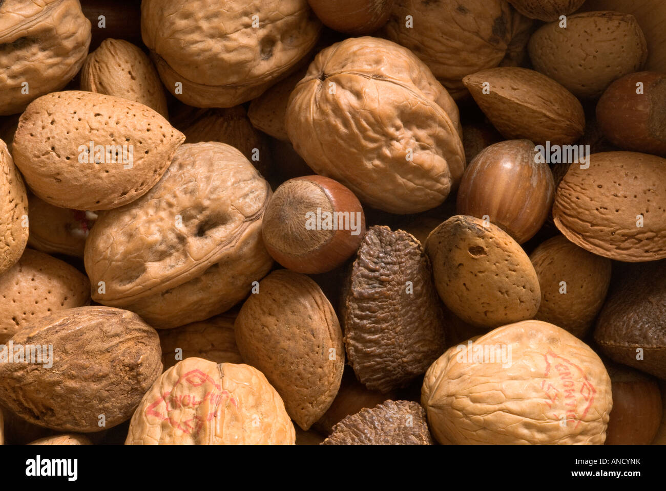 Walnut genus hi-res stock photography and images - Alamy