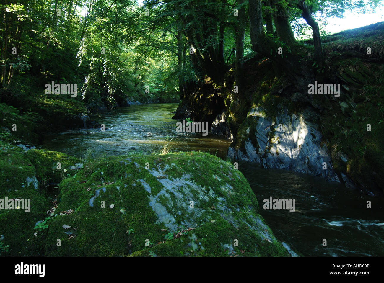 Gorge of Cothi River Pont Ynyswen Stock Photo - Alamy
